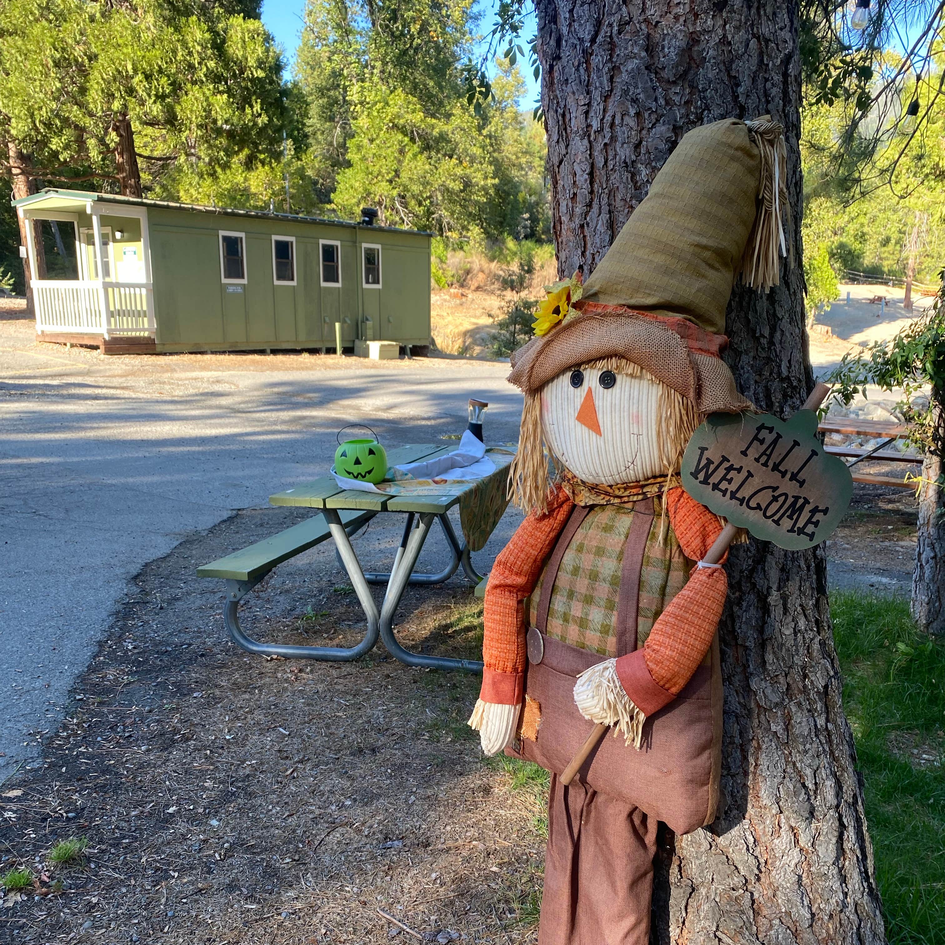 Outdoorsy Yosemite Camping | Bass Lake, California