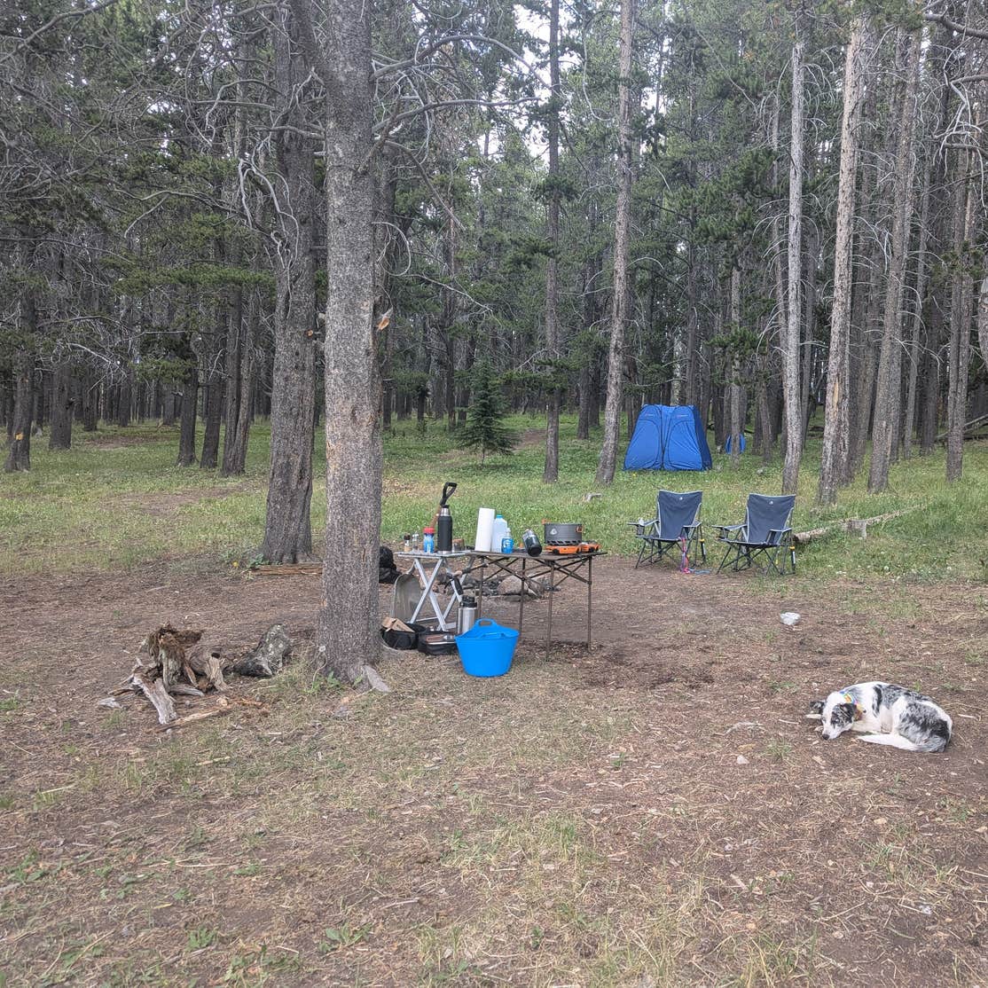 Battle Park Trailhead Camping | Bighorn National Forest, Wyoming