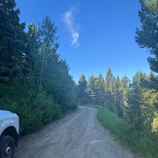 Battle Ridge Dispersed Camping | Wilsall, Montana