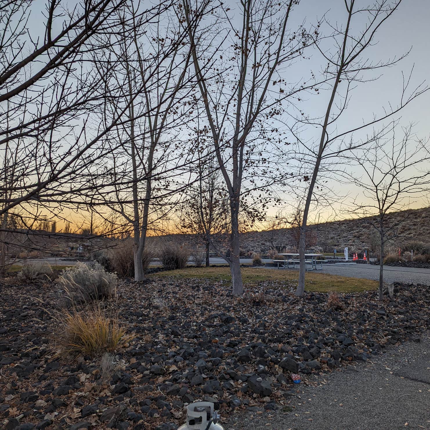 Bay Loop Campground — Steamboat Rock State Park | Electric City, Washington