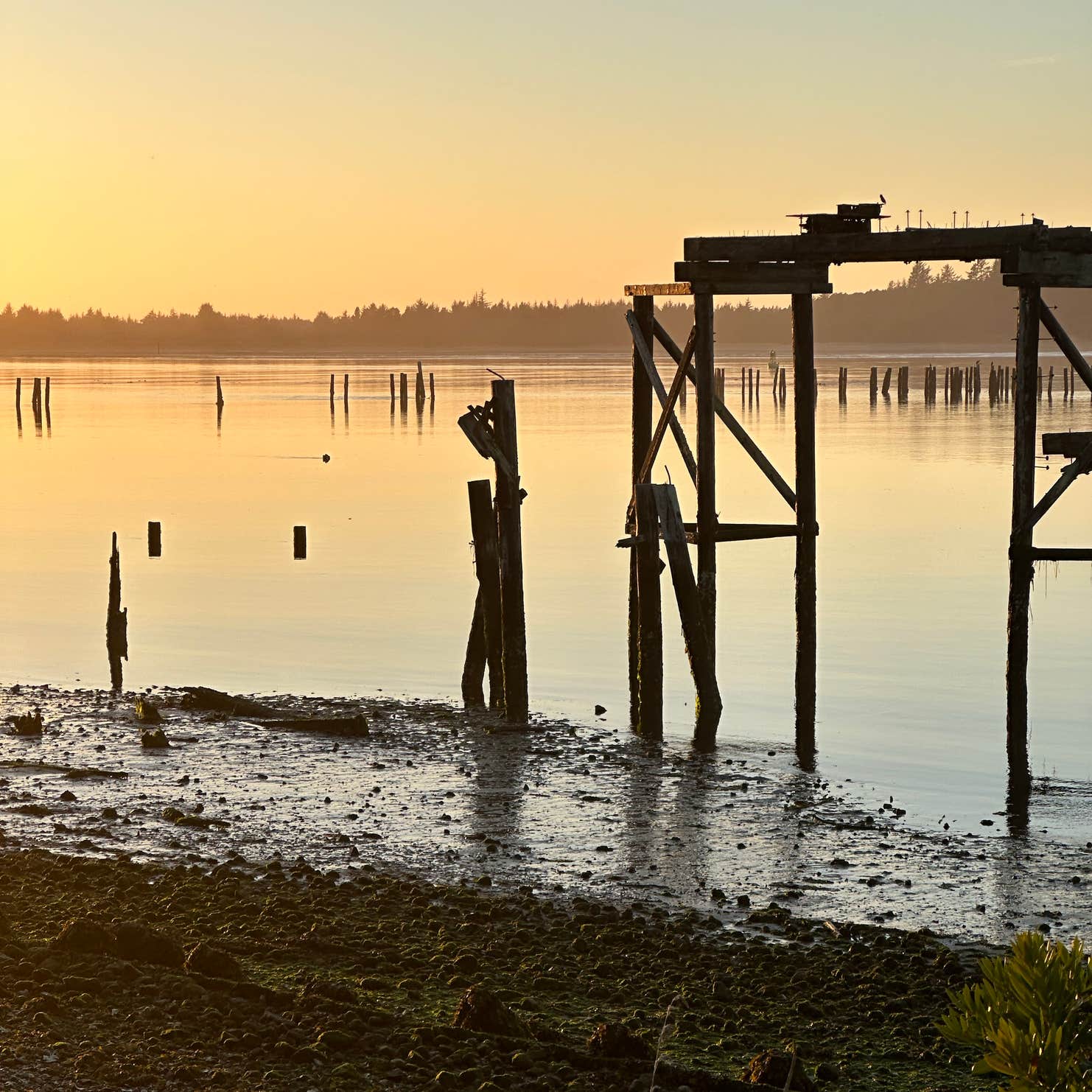 Bay Point Landing Camping | Coos Bay, Oregon