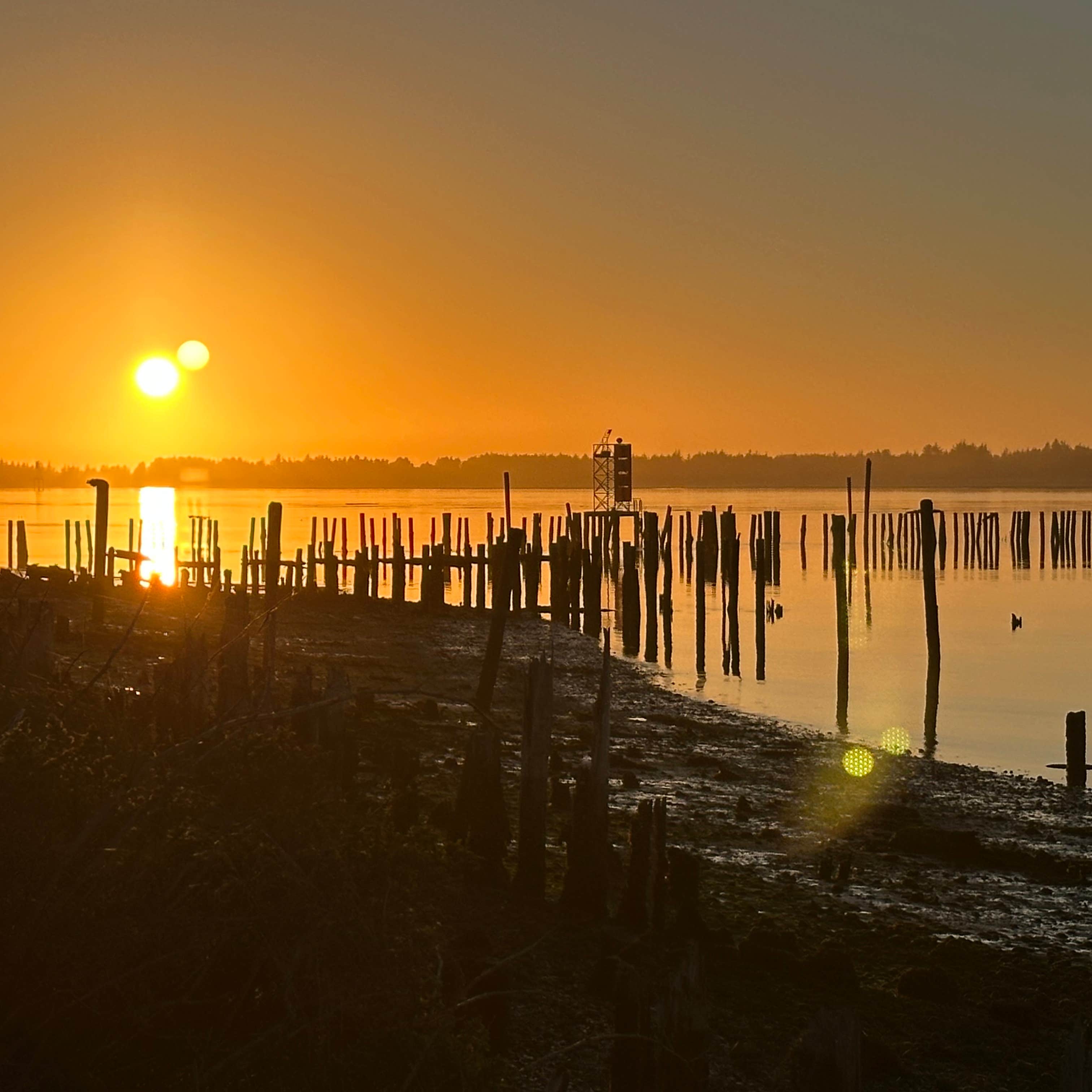 Bay Point Landing Camping | Coos Bay, Oregon