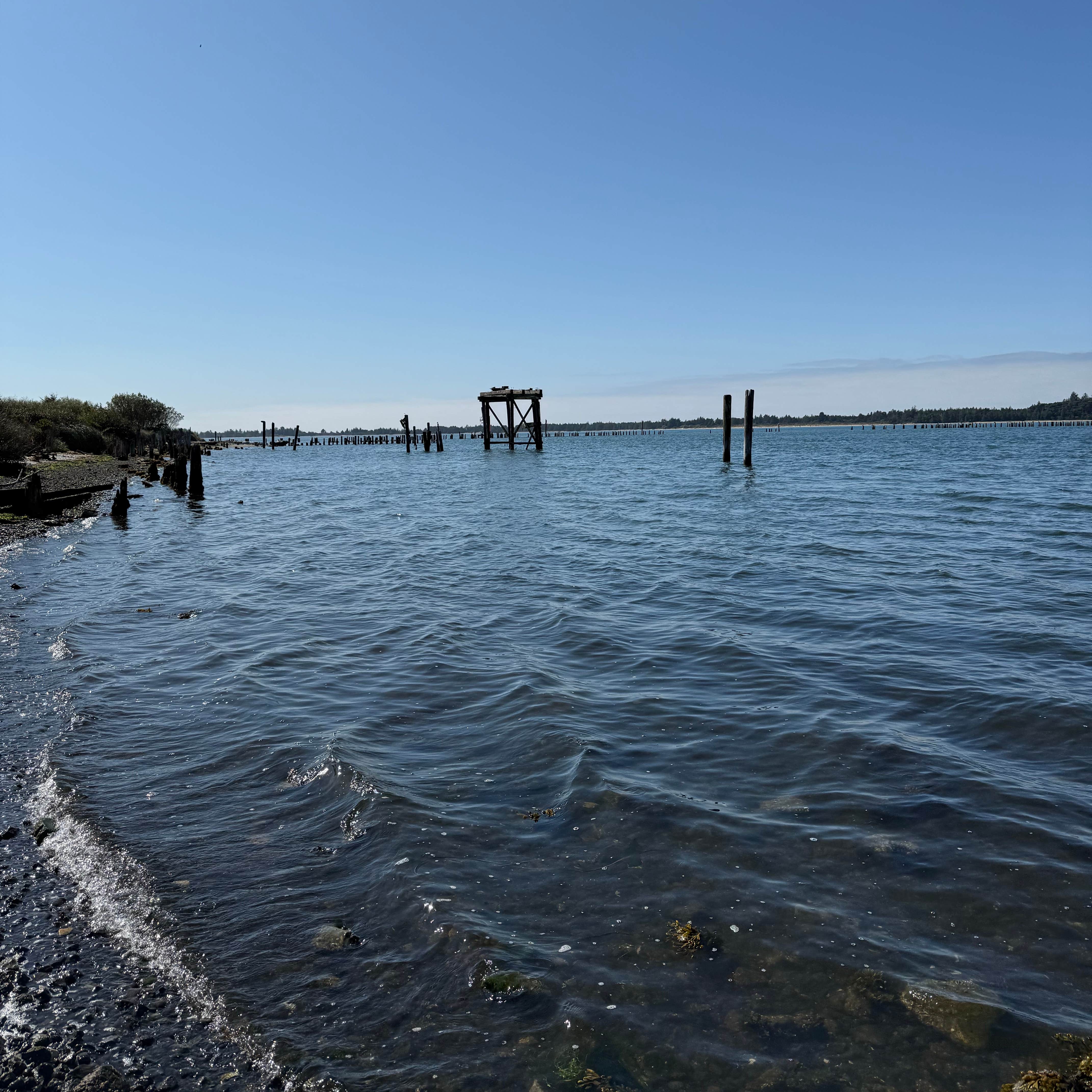 Bay Point Landing Camping | Coos Bay, Oregon