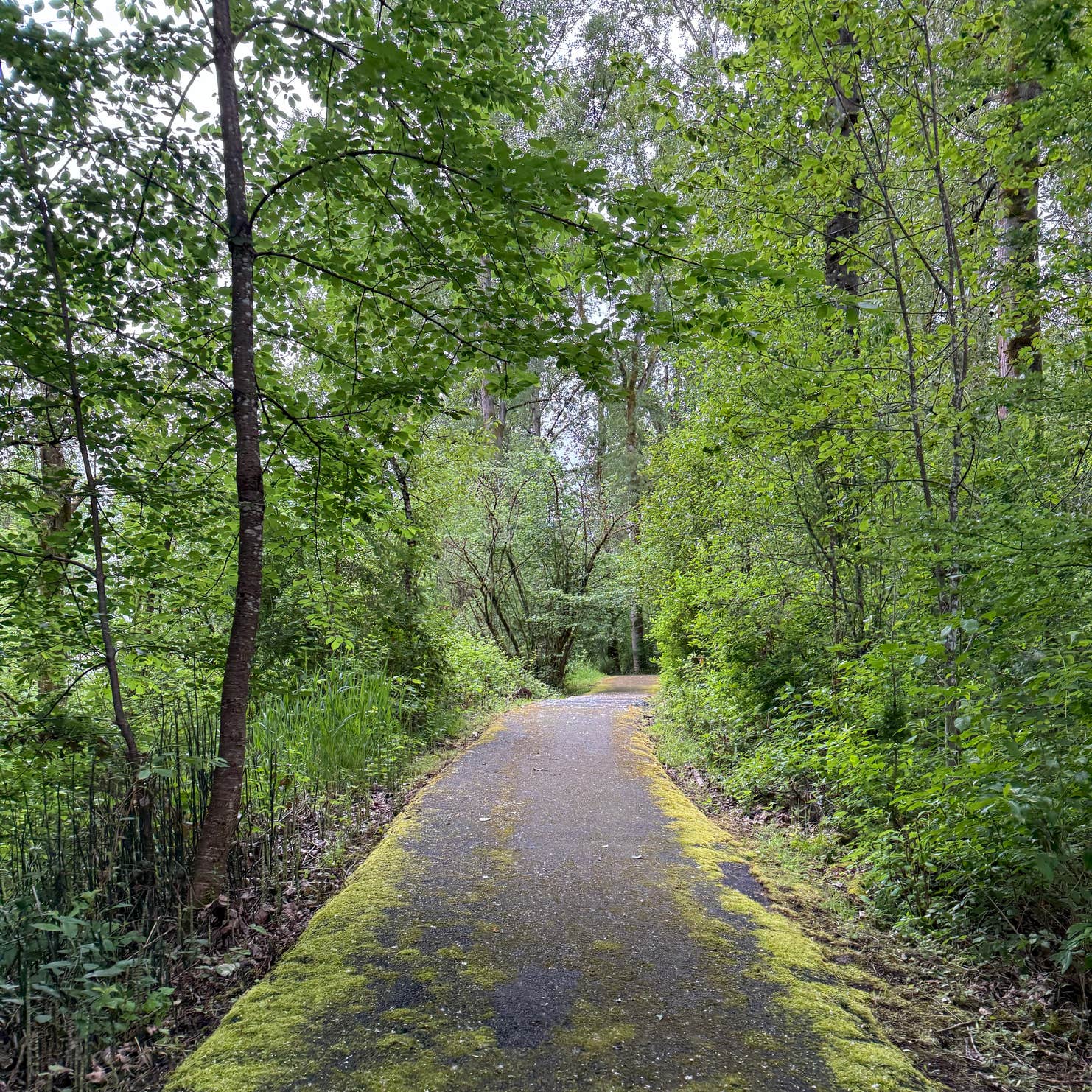Bayport RV Park and Campground | St. Helens, Oregon