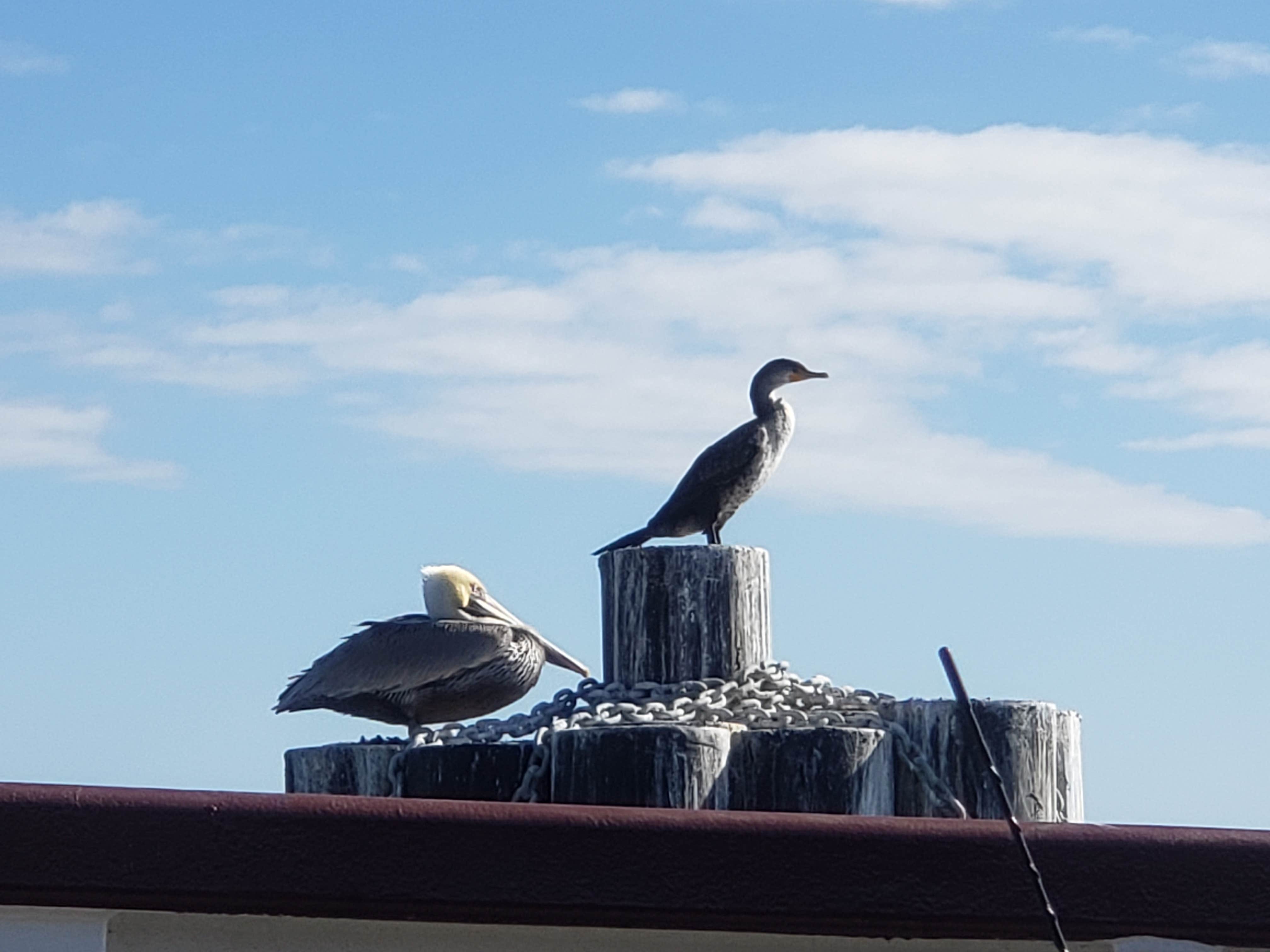 Bay View RV Resort | Rockport, TX
