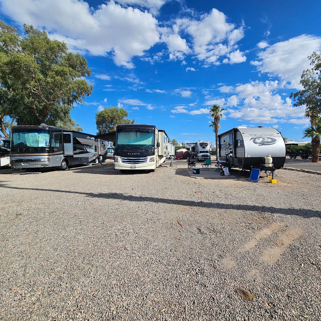 BeachComber Resort Camping | Lake Havasu City, AZ