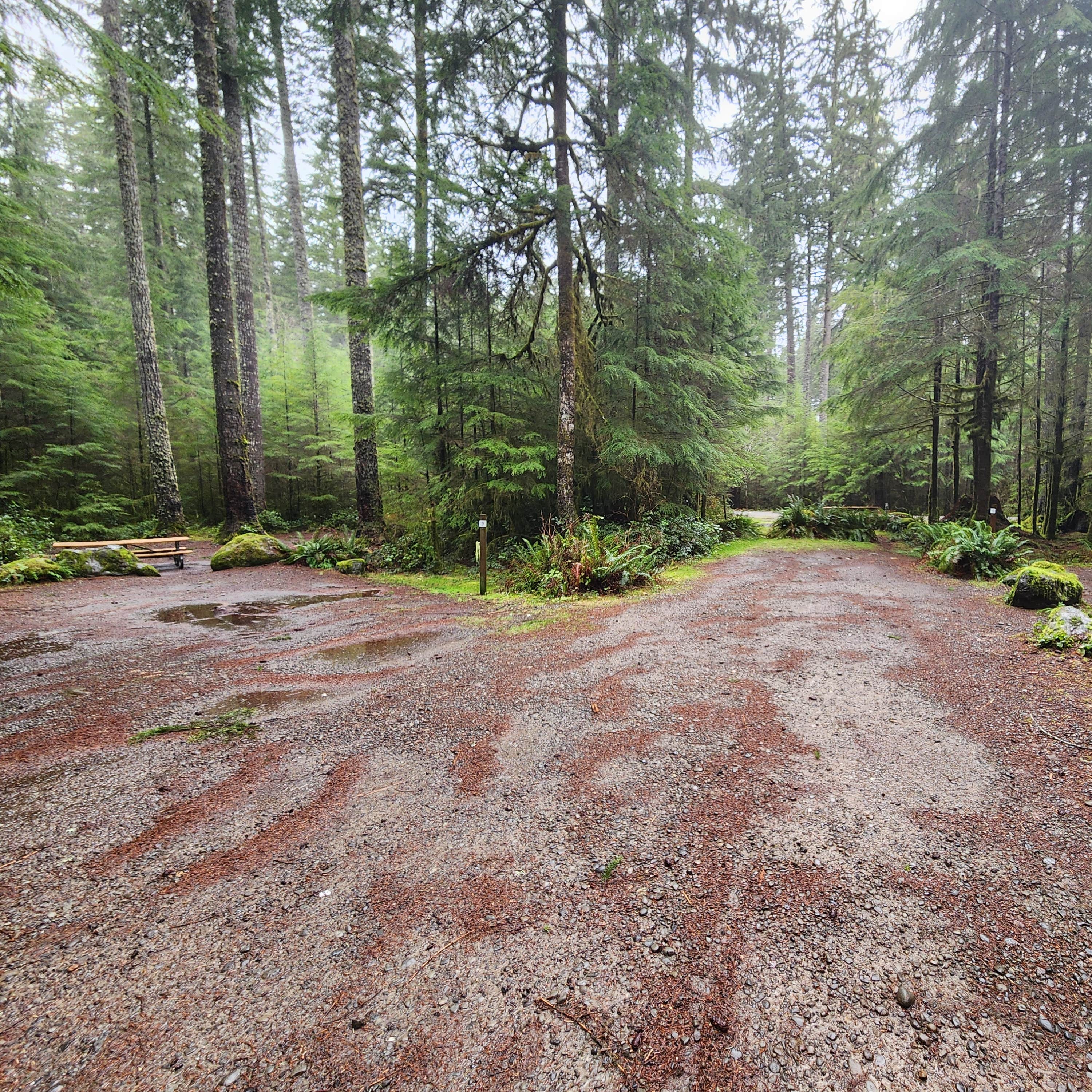 Bear Creek Campground | Sappho, WA