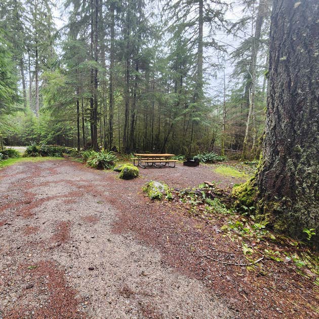 Bear Creek Campground | Sappho, WA