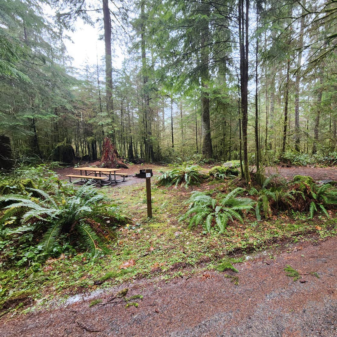 Bear Creek Campground | Sappho, WA