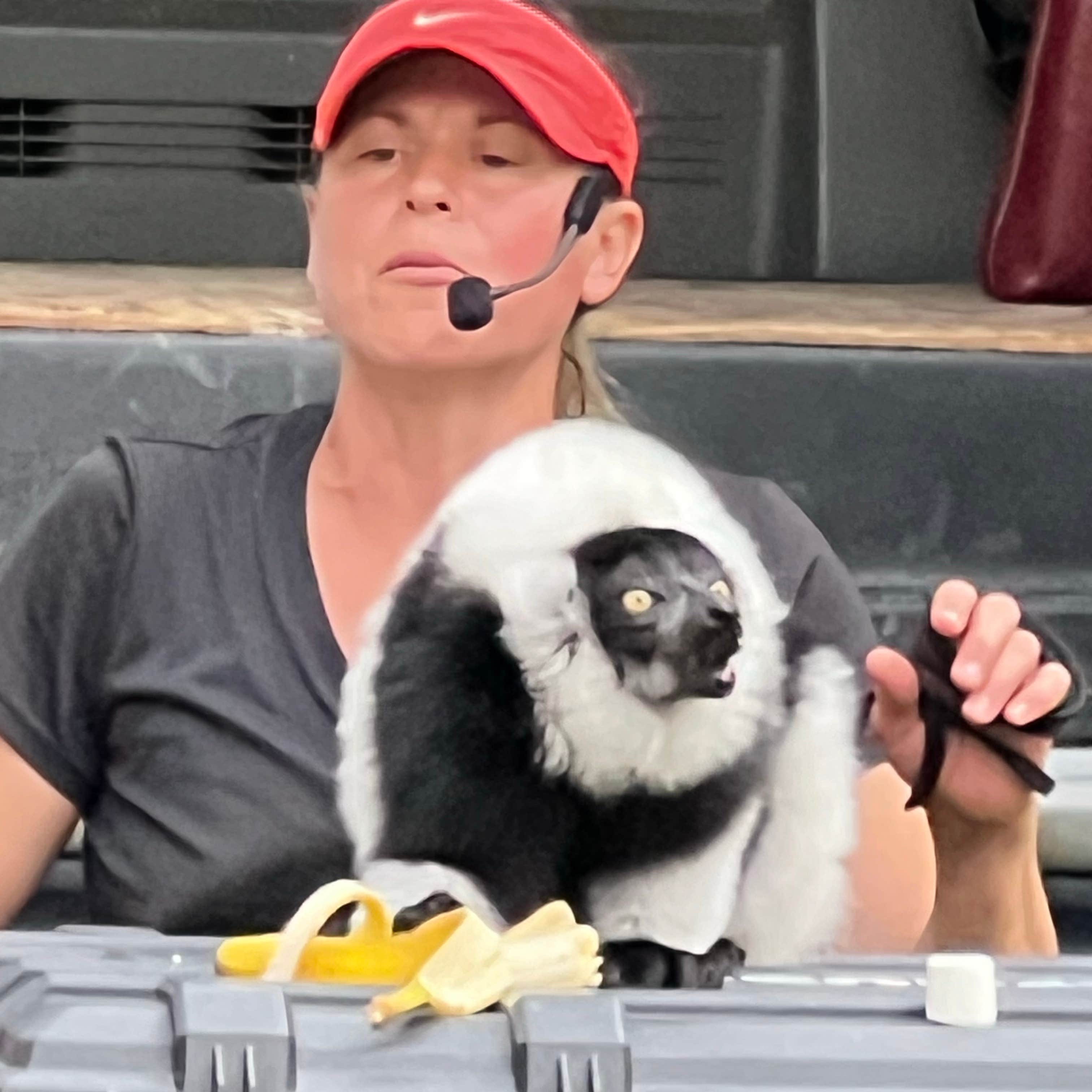 Bear Run Campground | Portersville, Pennsylvania