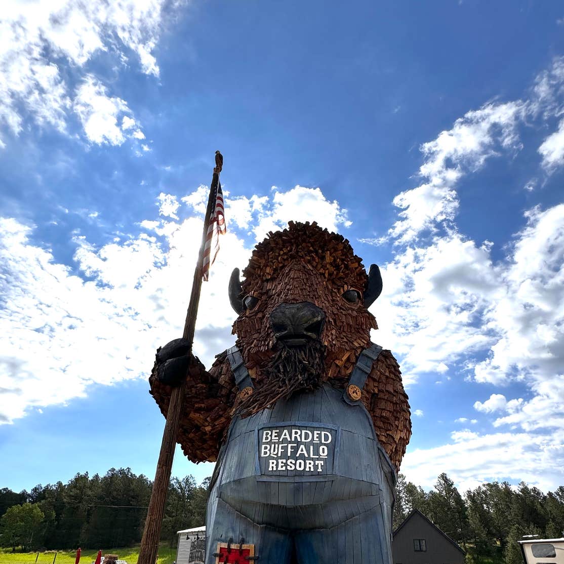 Bearded Buffalo Resort Camping | Custer, South Dakota