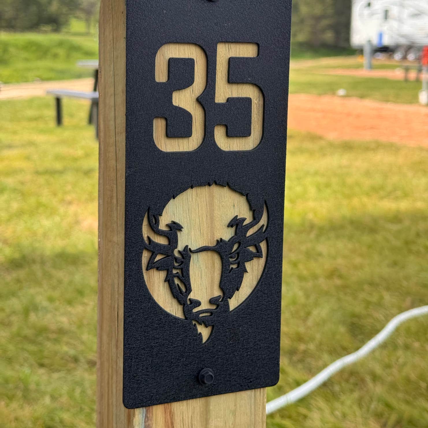 Bearded Buffalo Resort Camping | Custer, South Dakota
