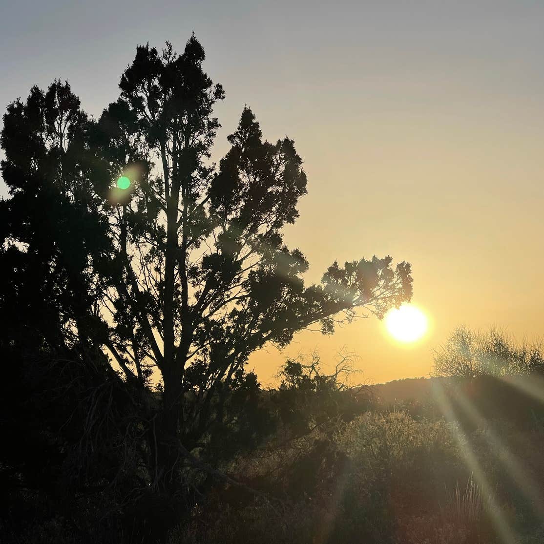 beaverhead overlook Camping | Cornville, AZ