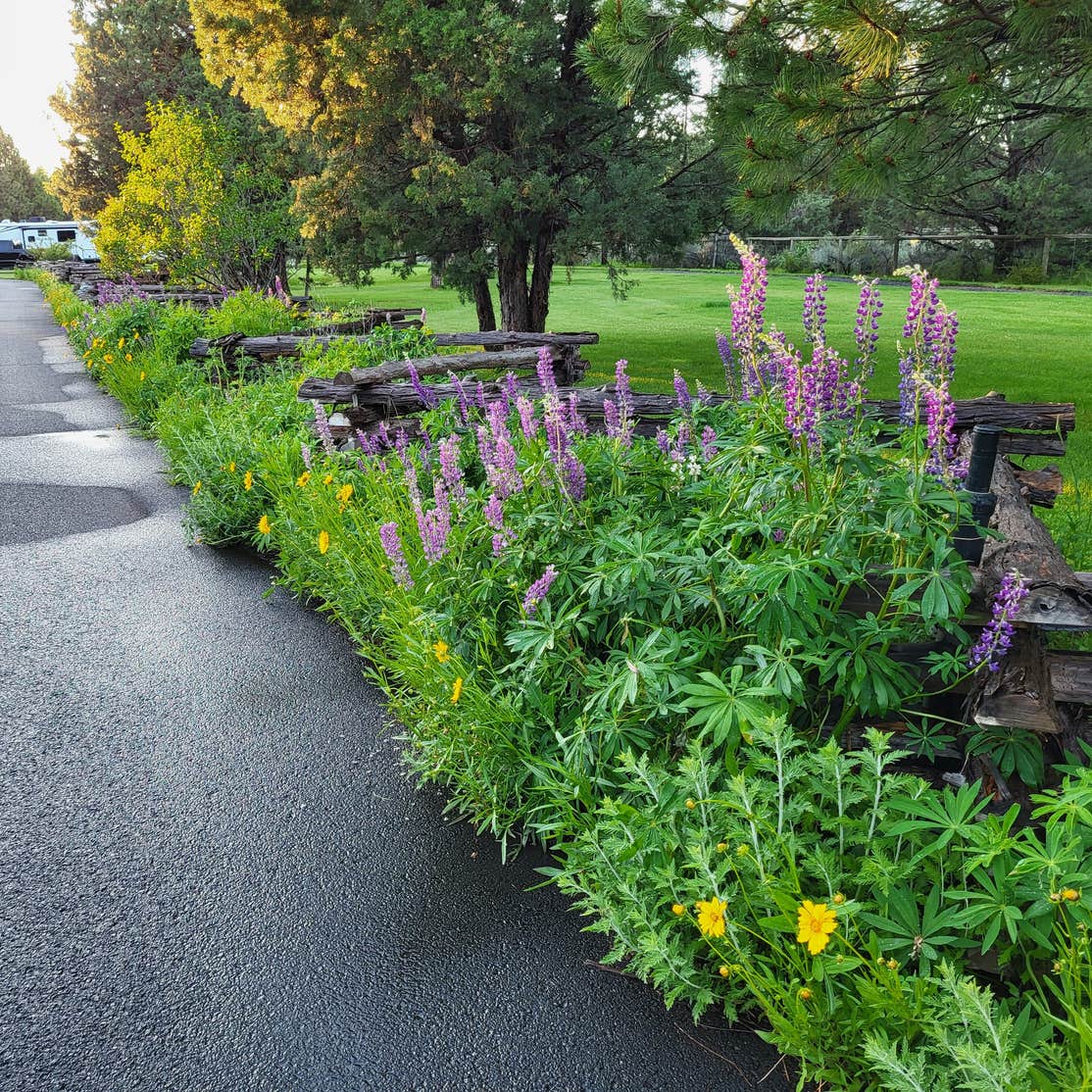 Bend Sisters Garden Rv Resort Sisters Or