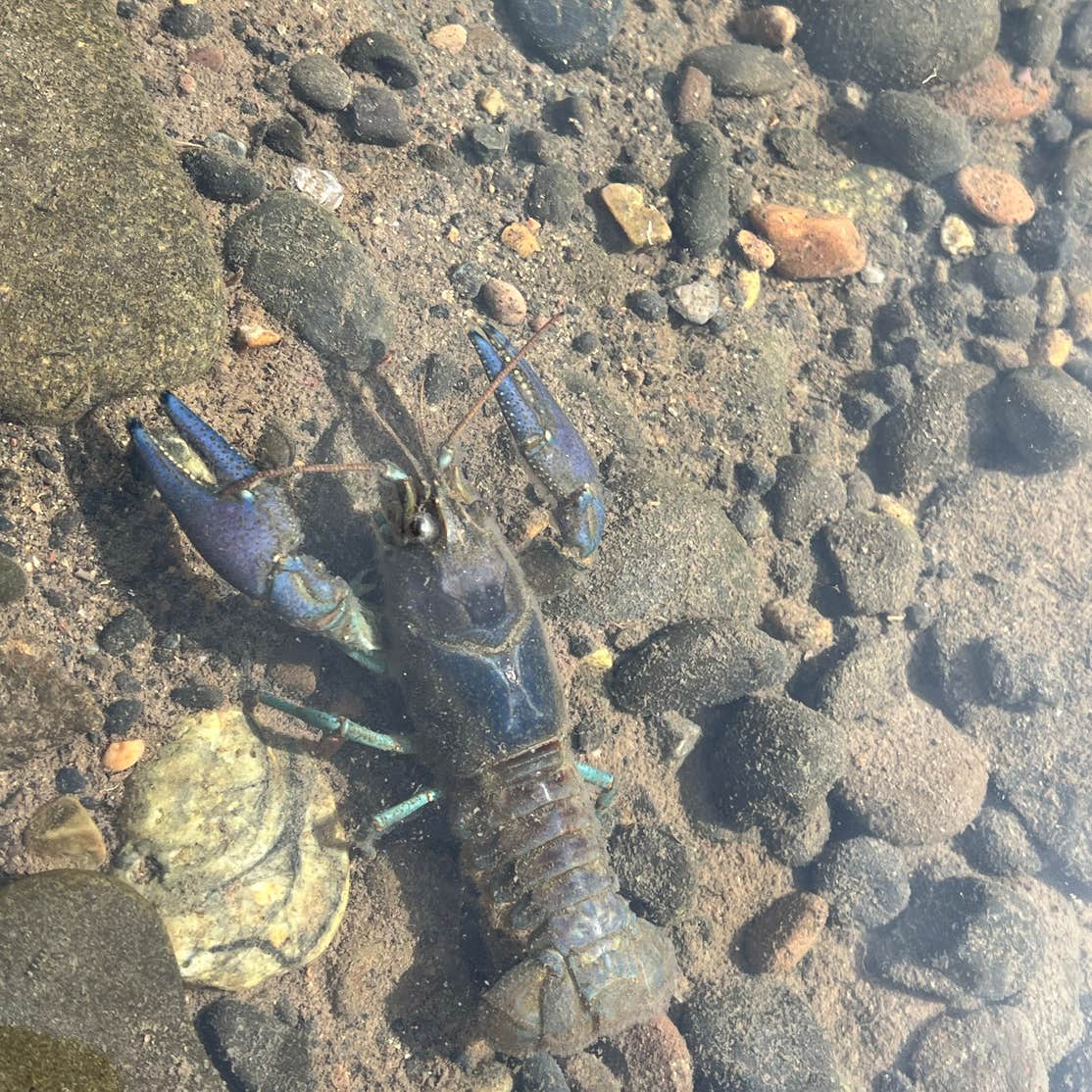 Big Bend Campground | Kimberly, Oregon