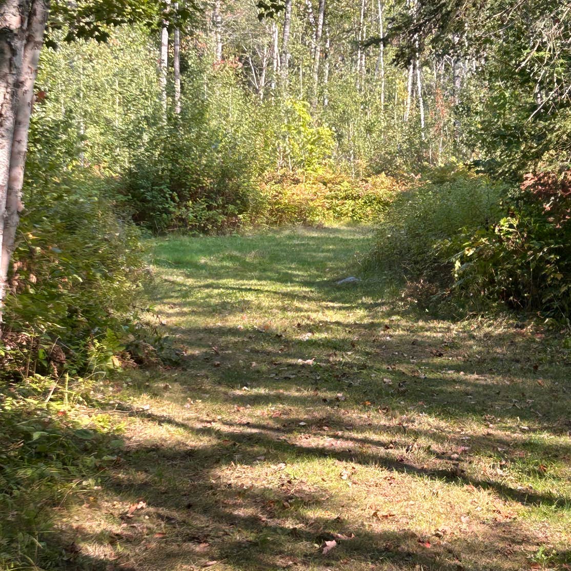 Big Rice Lake Camping | Tower, MN