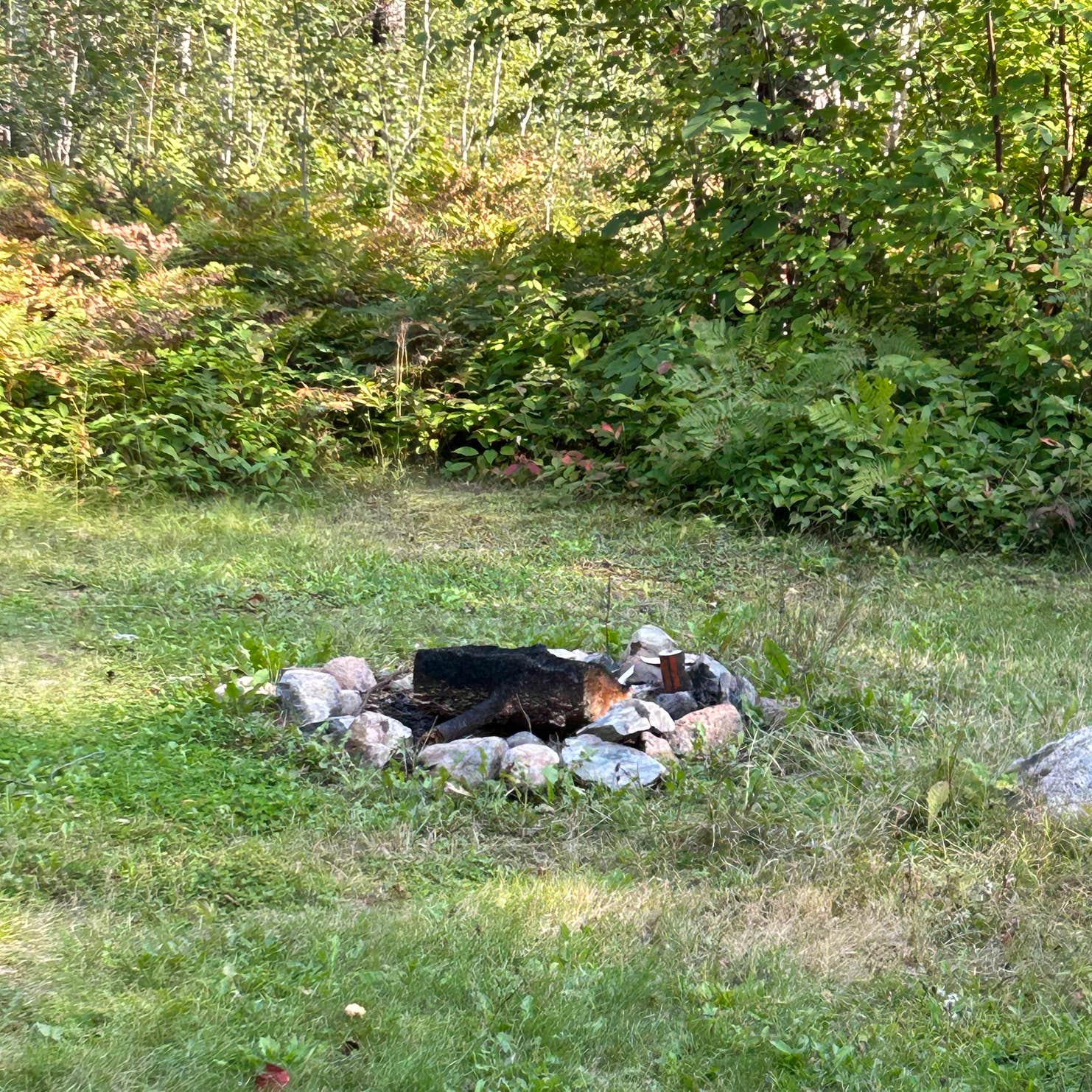 Big Rice Lake Camping | Tower, Minnesota