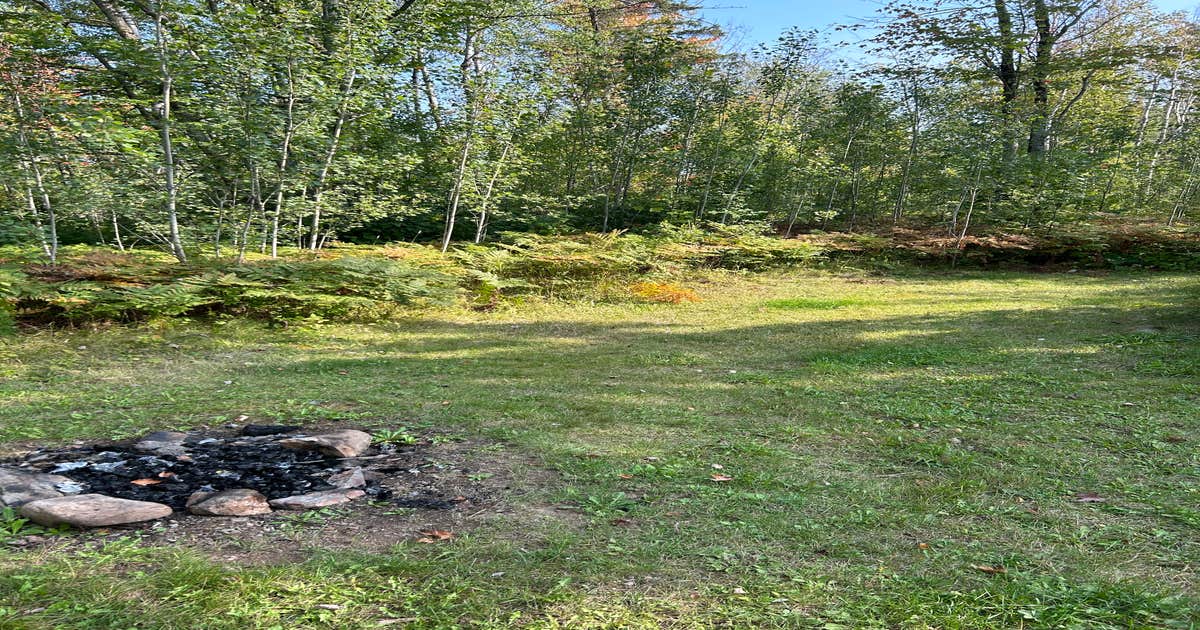 Big Rice Lake Camping | Tower, Minnesota