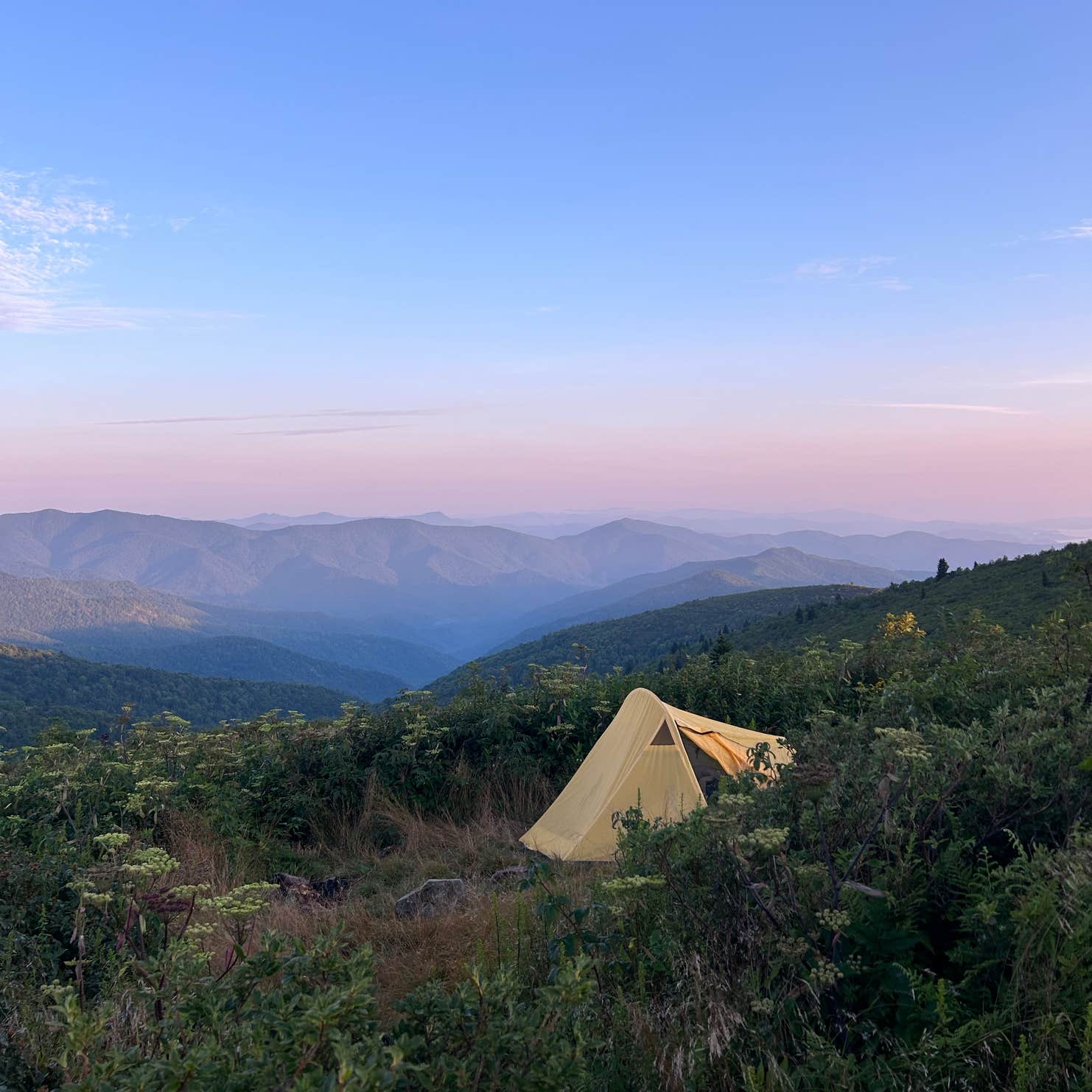 Black Balsam Knob Dispersed Camping Balsam Grove North Carolina