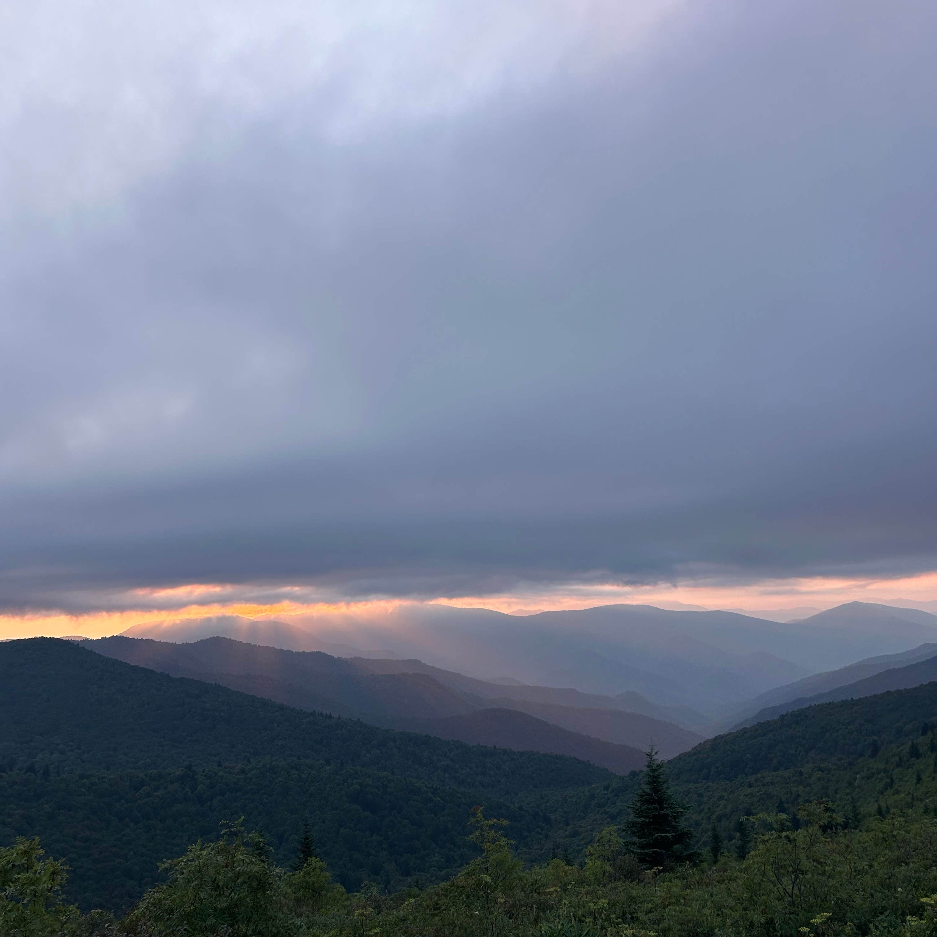 Black Balsam Knob - Dispersed Camping | Balsam Grove, North Carolina