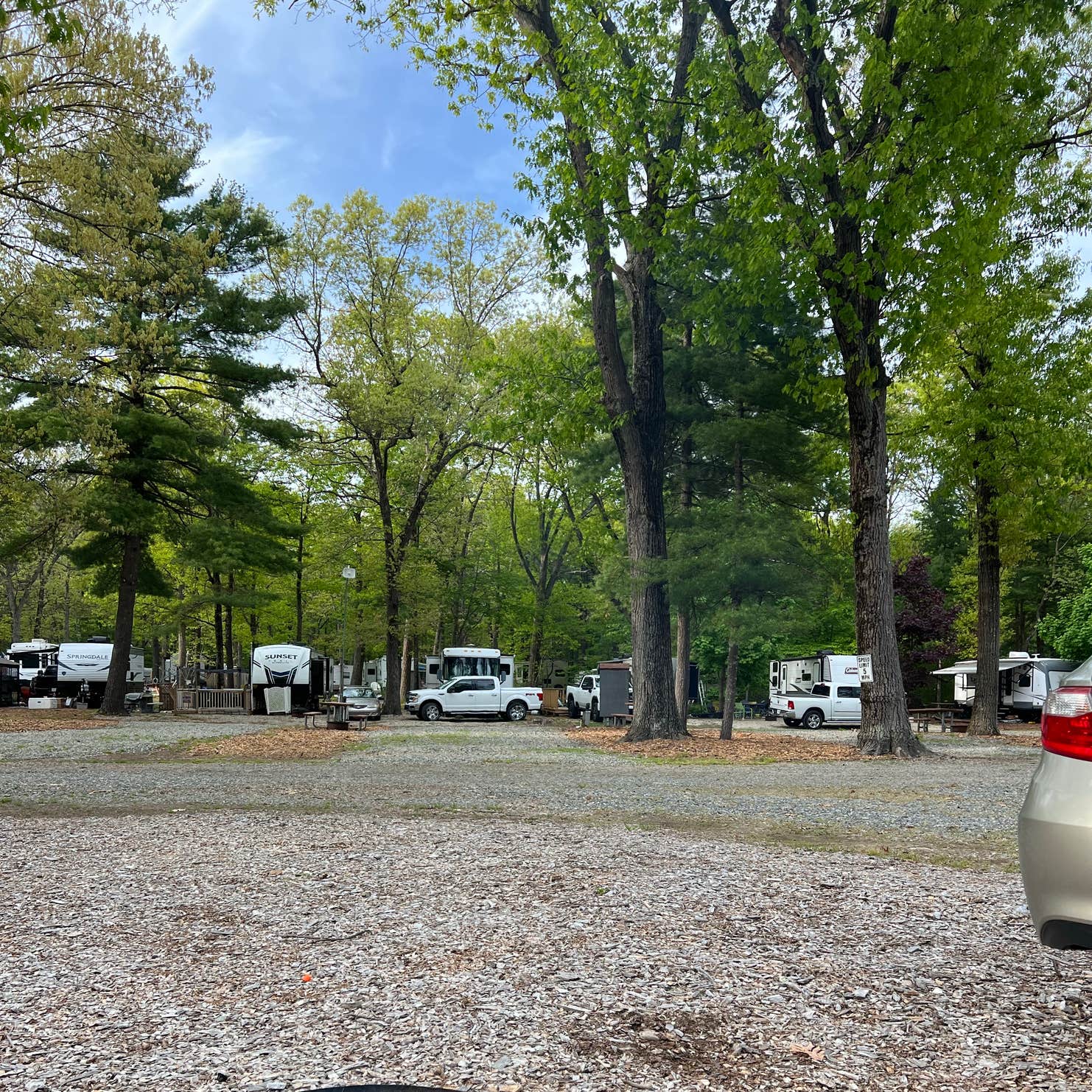 Black Bear Campground | Salisbury, Massachusetts