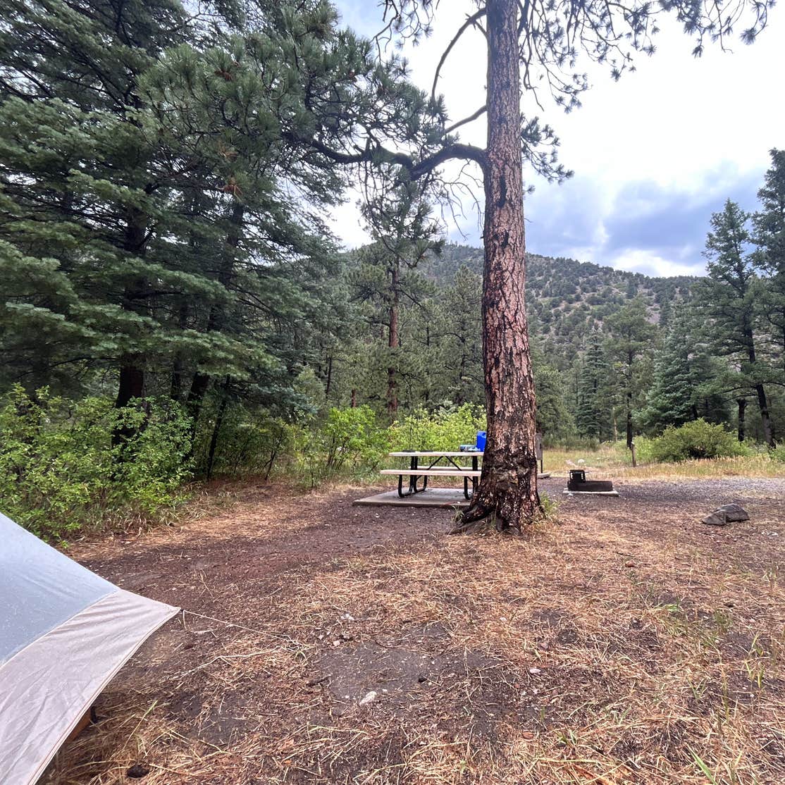 Blackjack Tent Area — Cimarron Canyon State Park Camping | Ute Park, NM