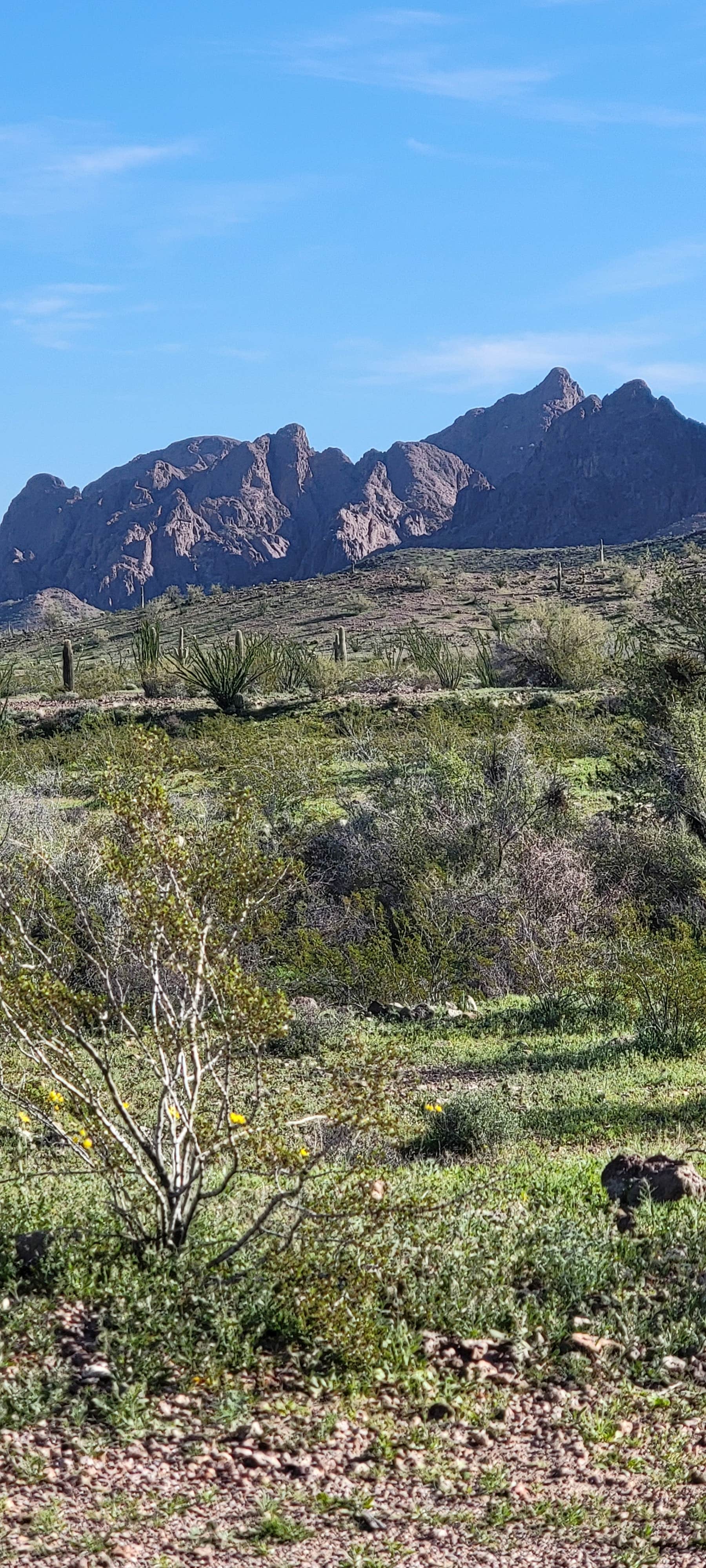 BLM King Valley Road Free Dispersed Camping | Cibola, AZ
