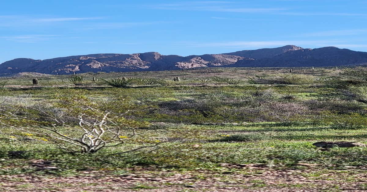 Camper-Submitted Photos of BLM King Valley Road Free Dispersed
