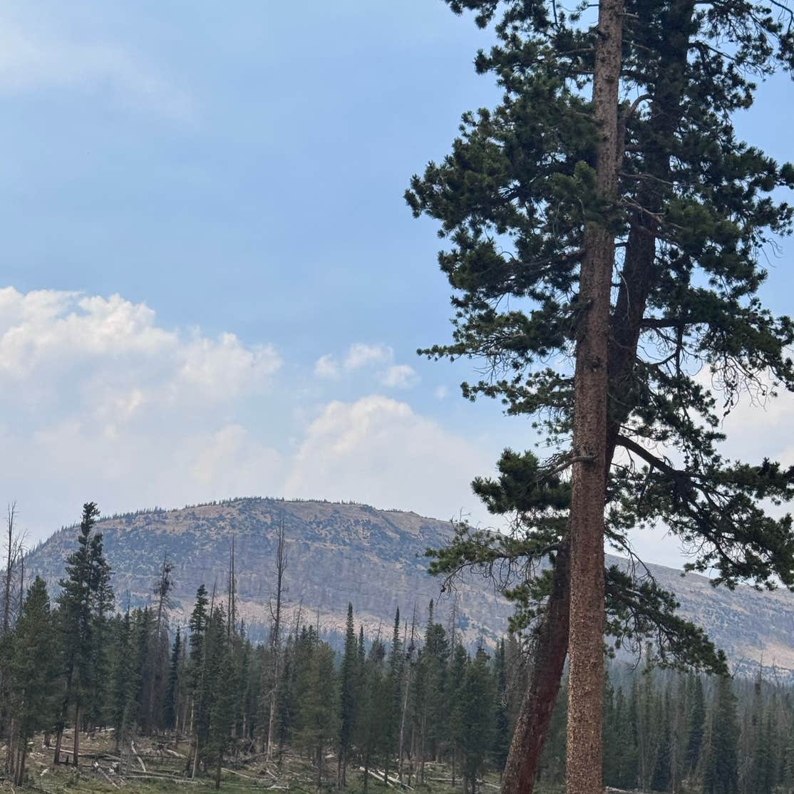 Blue Lake Loop Pond Camping | Kamas, Utah