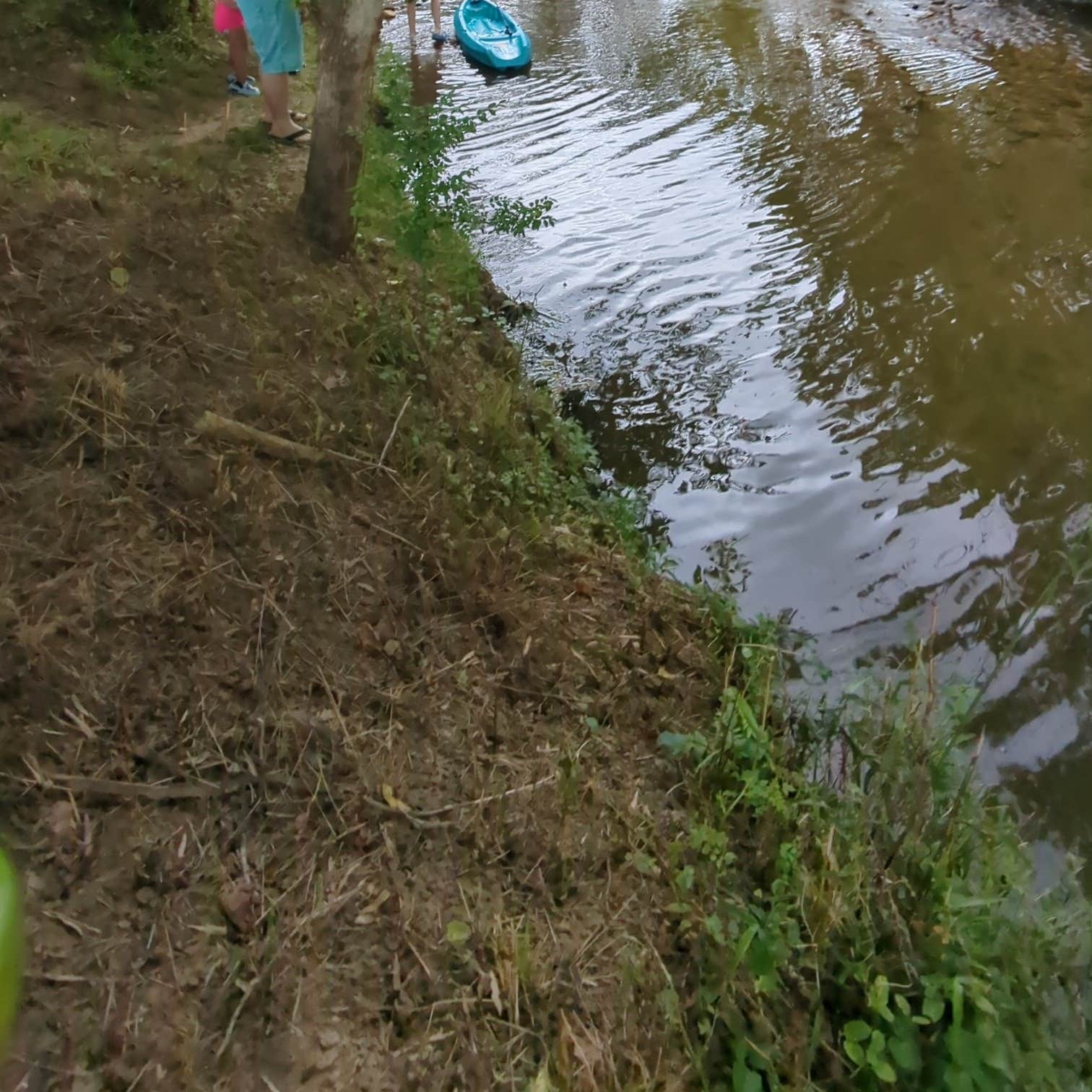 blue ridge RV resort | Morganton, Georgia