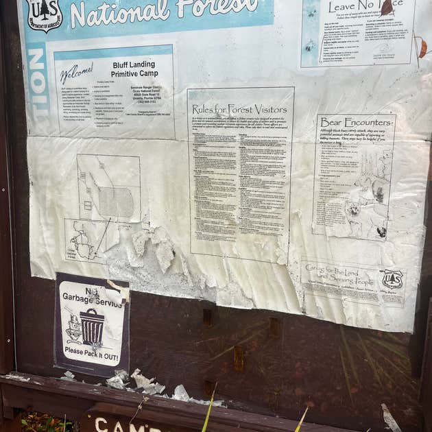 Bluff Landing Camping | Paisley, Florida