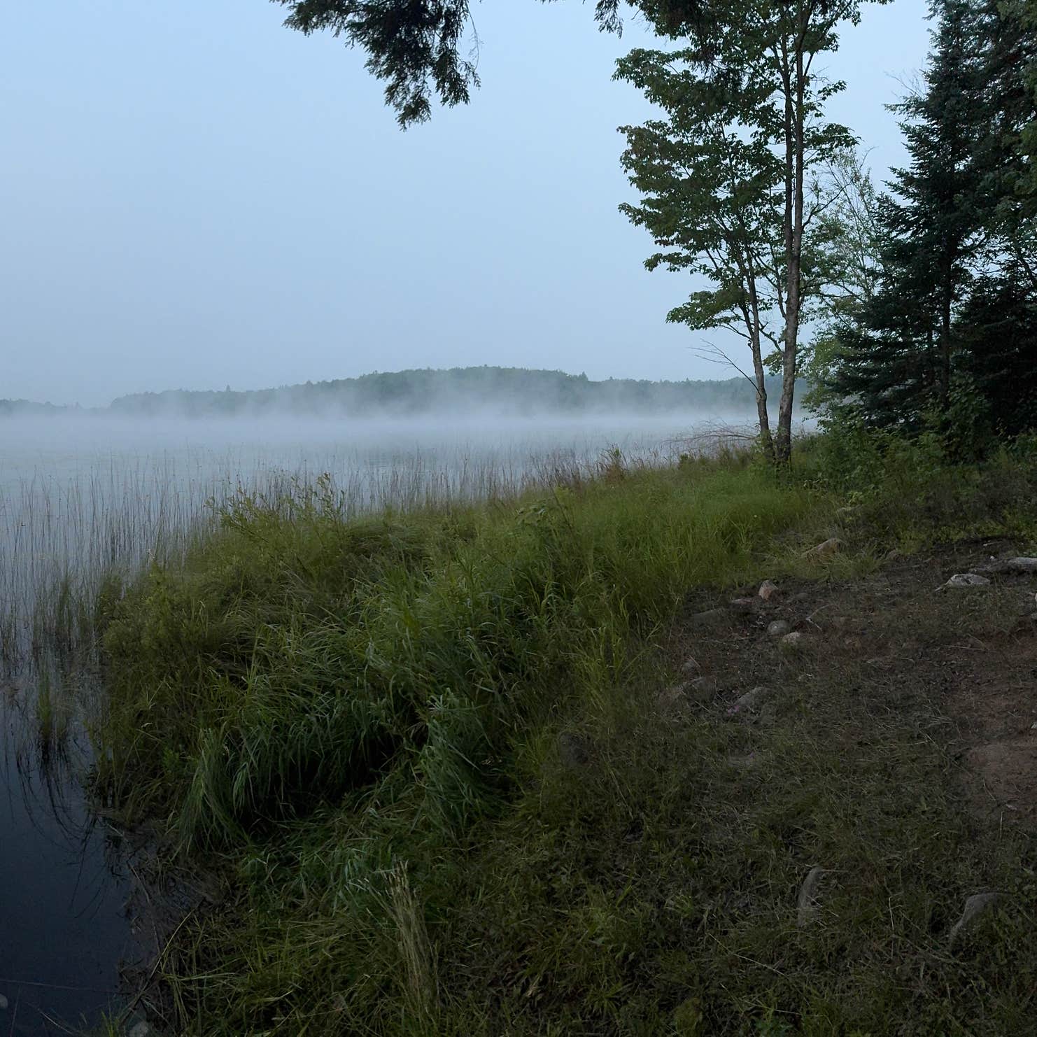 Bobcat Lake Camp — Ottawa National Forest | Marenisco, Michigan