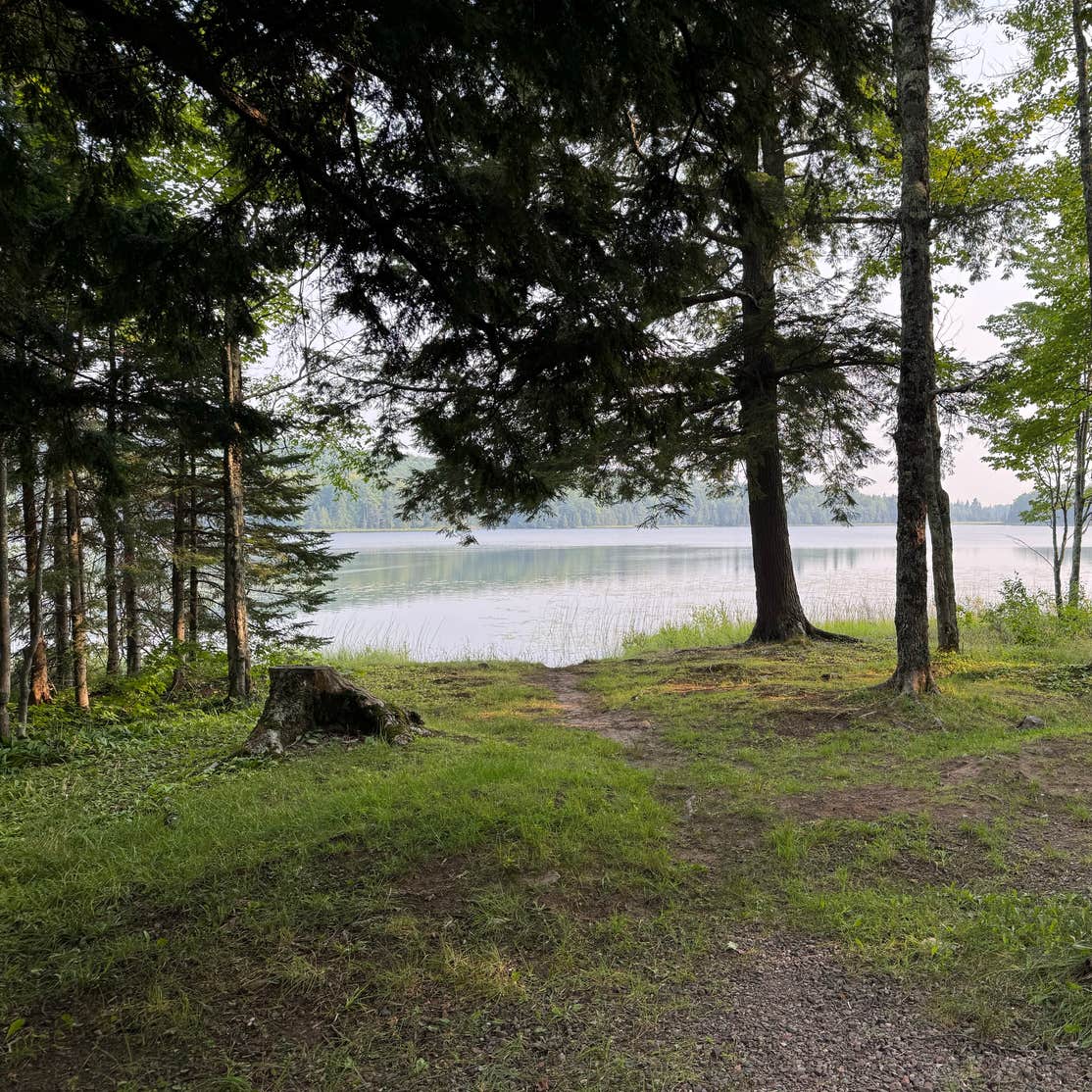 Bobcat Lake Camp — Ottawa National Forest | Marenisco, Michigan