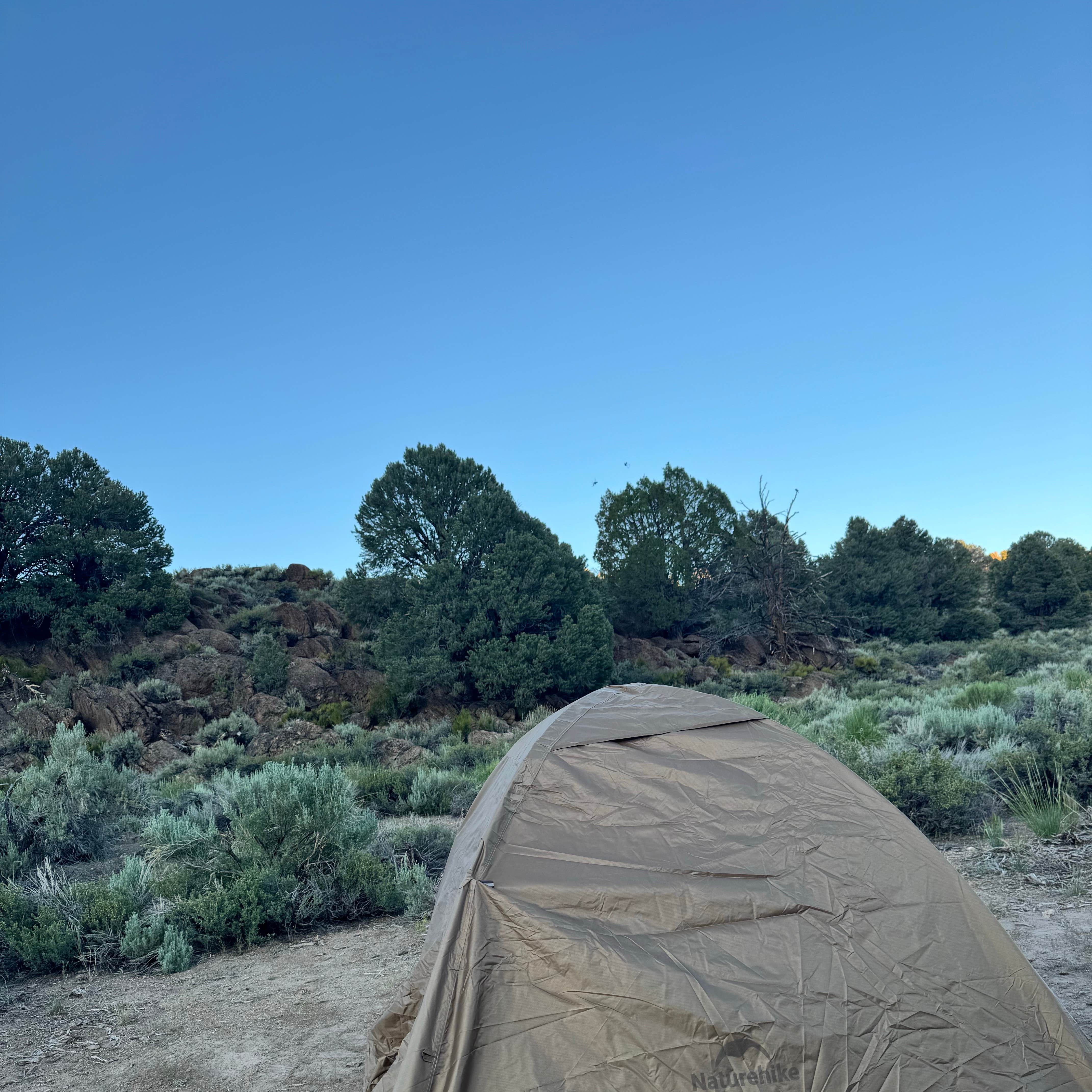 Bodie Roadside Camp | Bridgeport, California