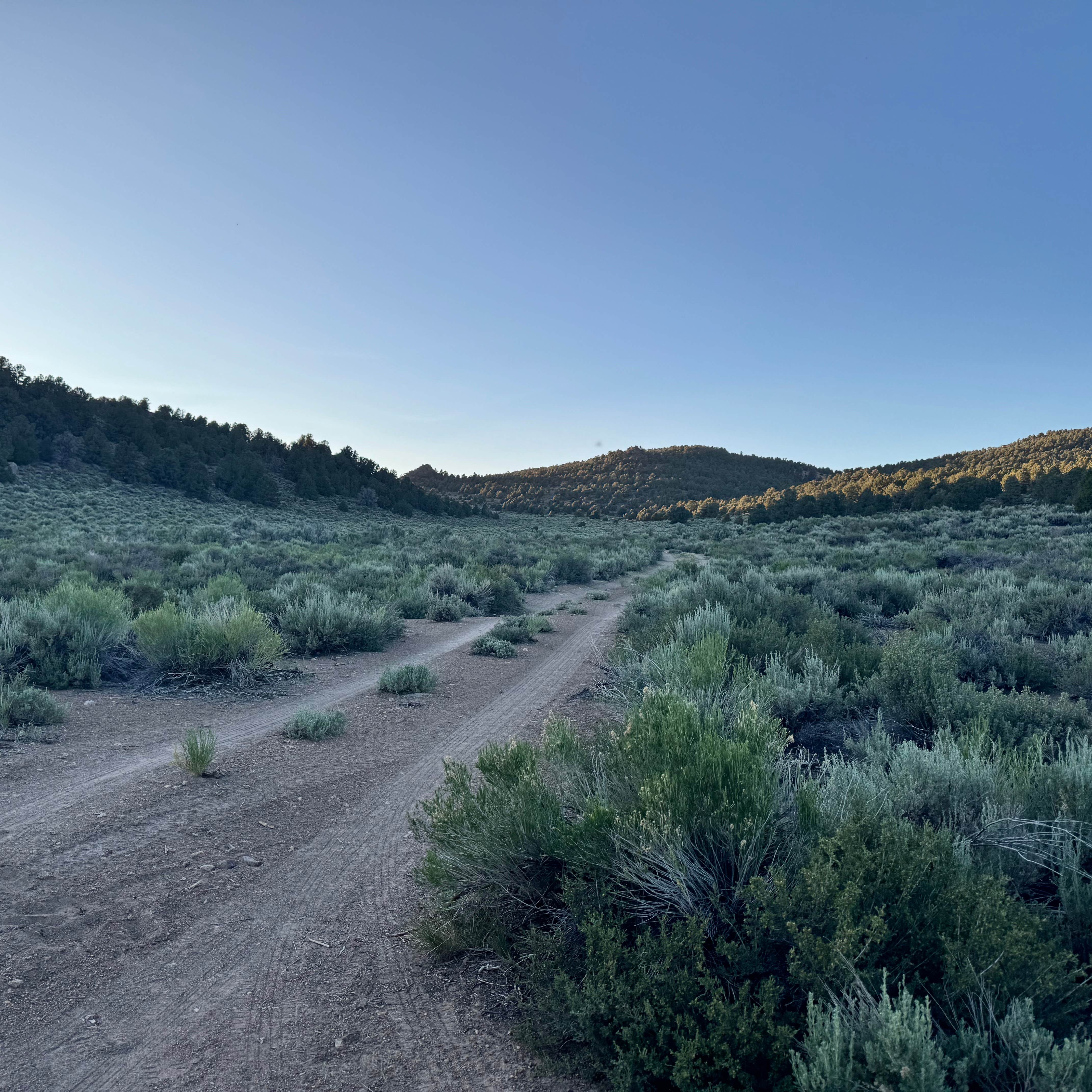 Bodie Roadside Camp | Bridgeport, California