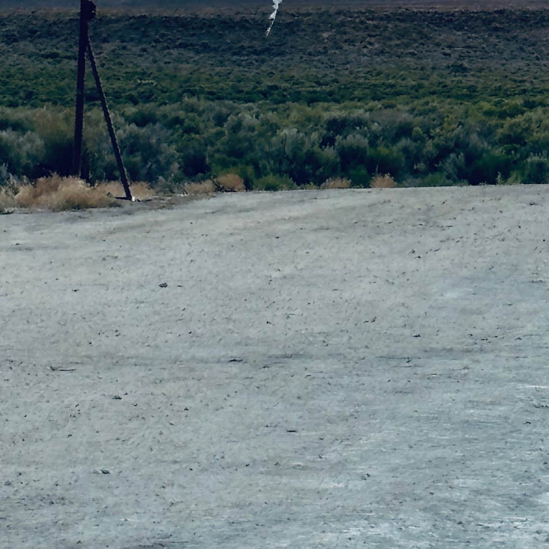 Bog Hot Springs Dispersed Camping | Denio, Nevada