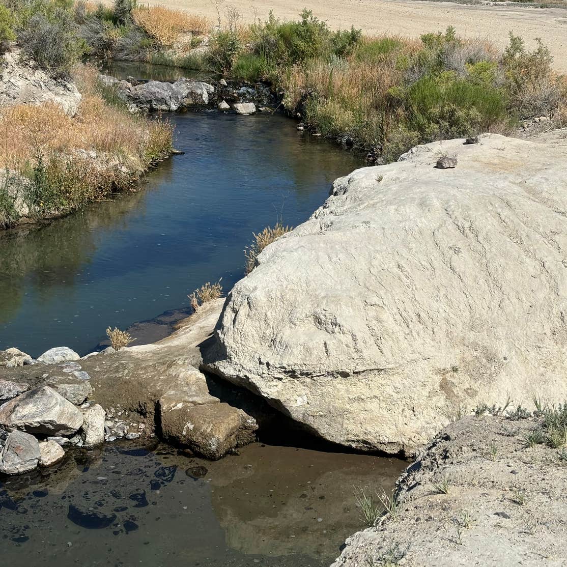 Bog Hot Springs Dispersed Camping | Denio, Nevada