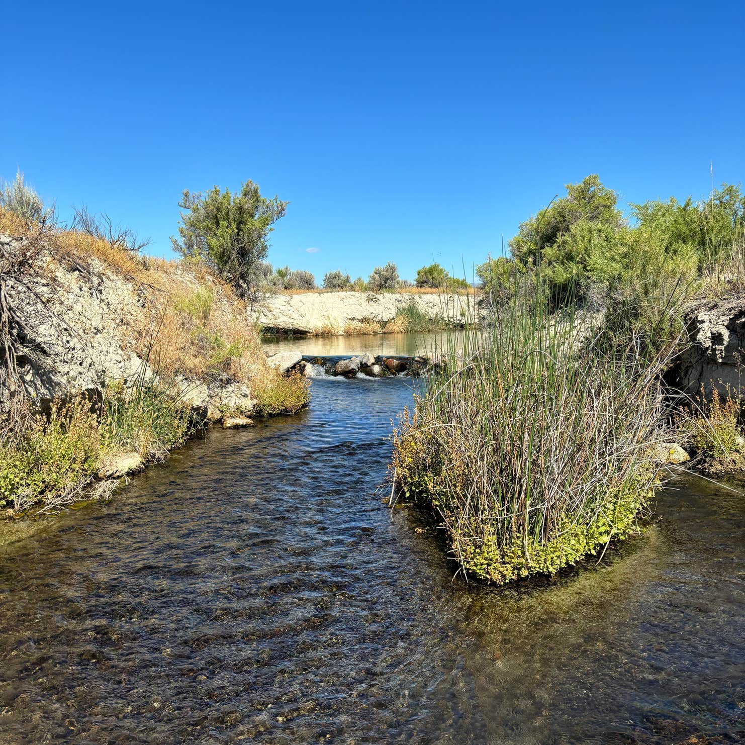 Bog Hot Springs Dispersed Camping | Denio, Nevada