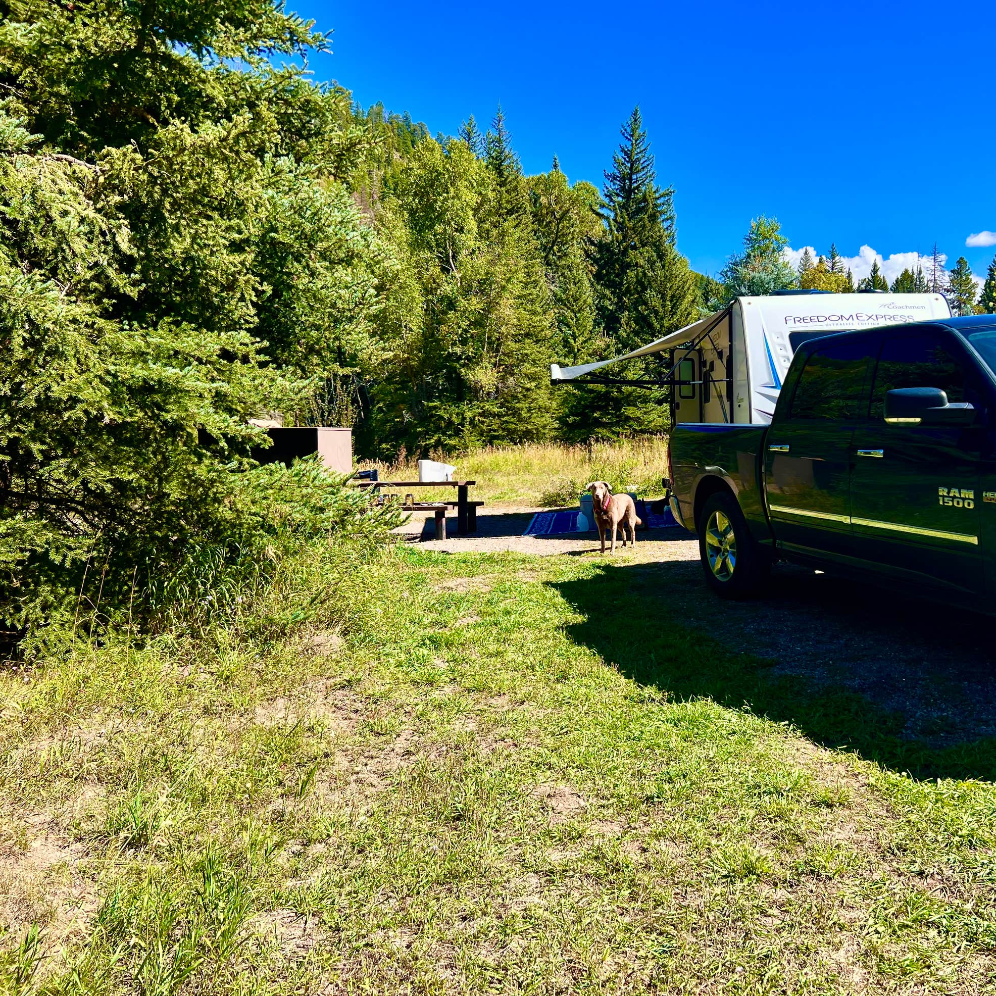 Bogan Flats Campground Grp S | Marble, Colorado