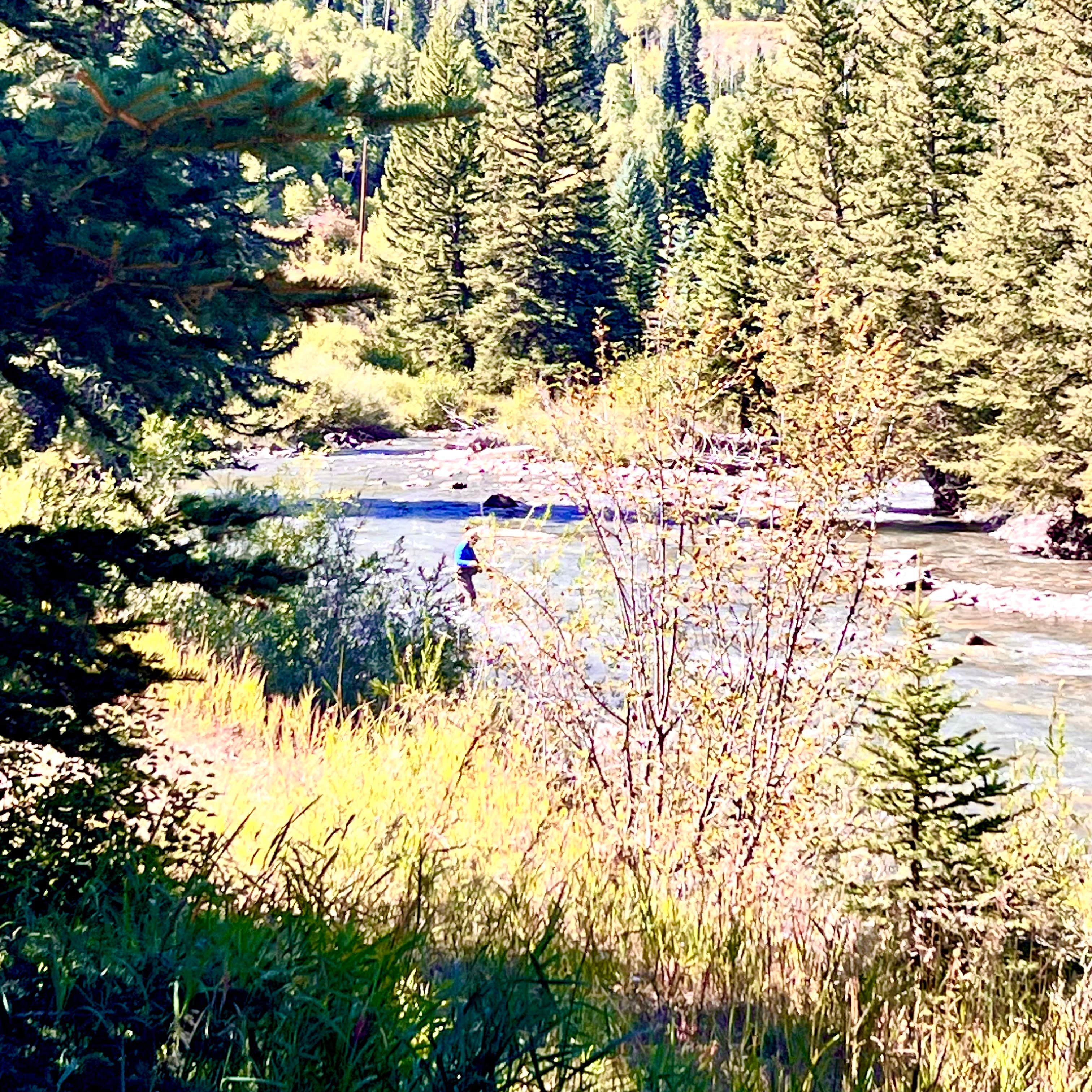Bogan Flats Campground Grp S | Carbondale, CO