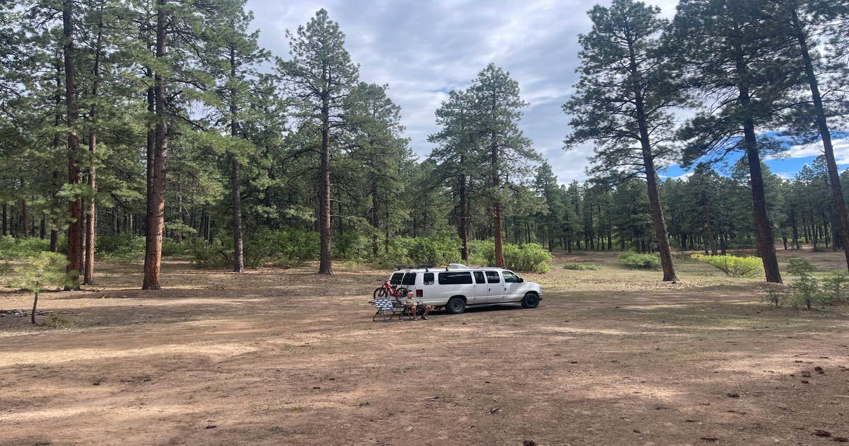Boggy Draw 1 Camping | Dolores, Colorado