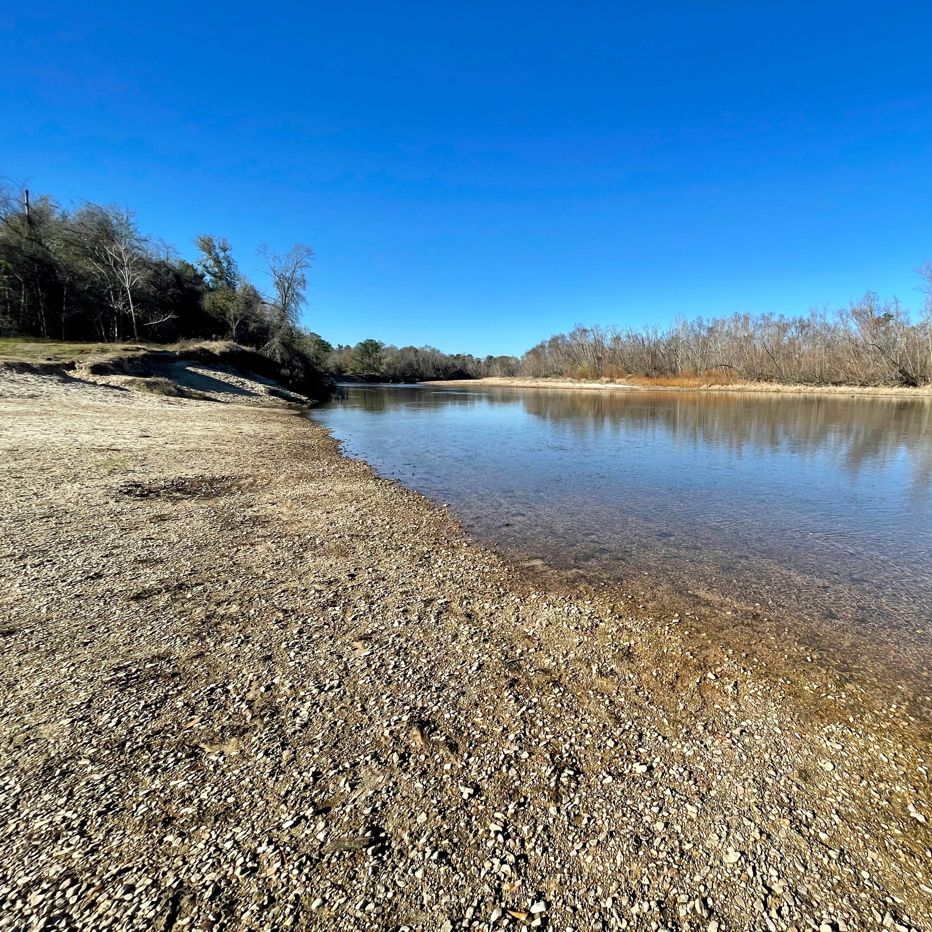 Bogue Chitto State Park Campground | Franklinton, Louisiana