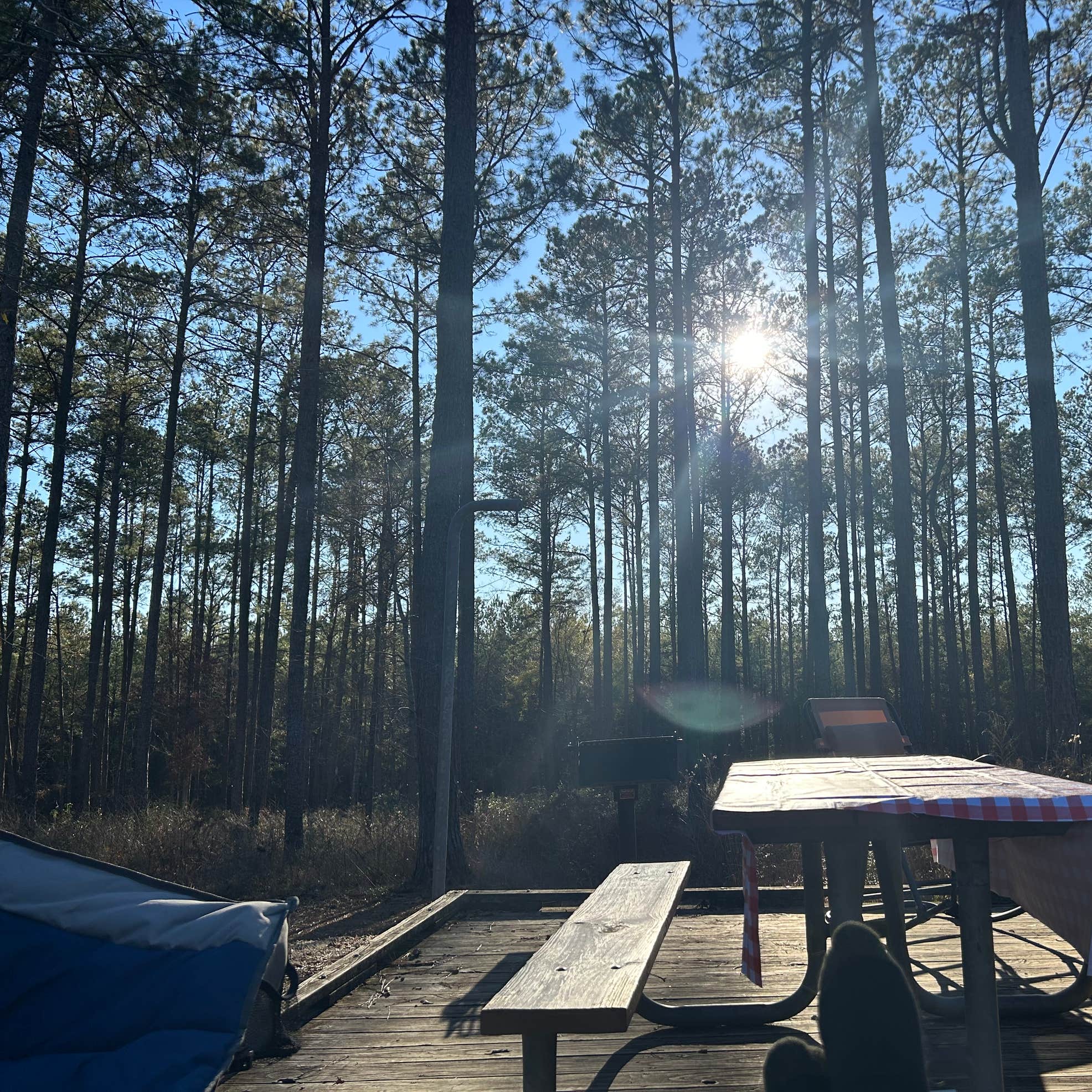 Bogue Chitto State Park Campground | Franklinton, Louisiana