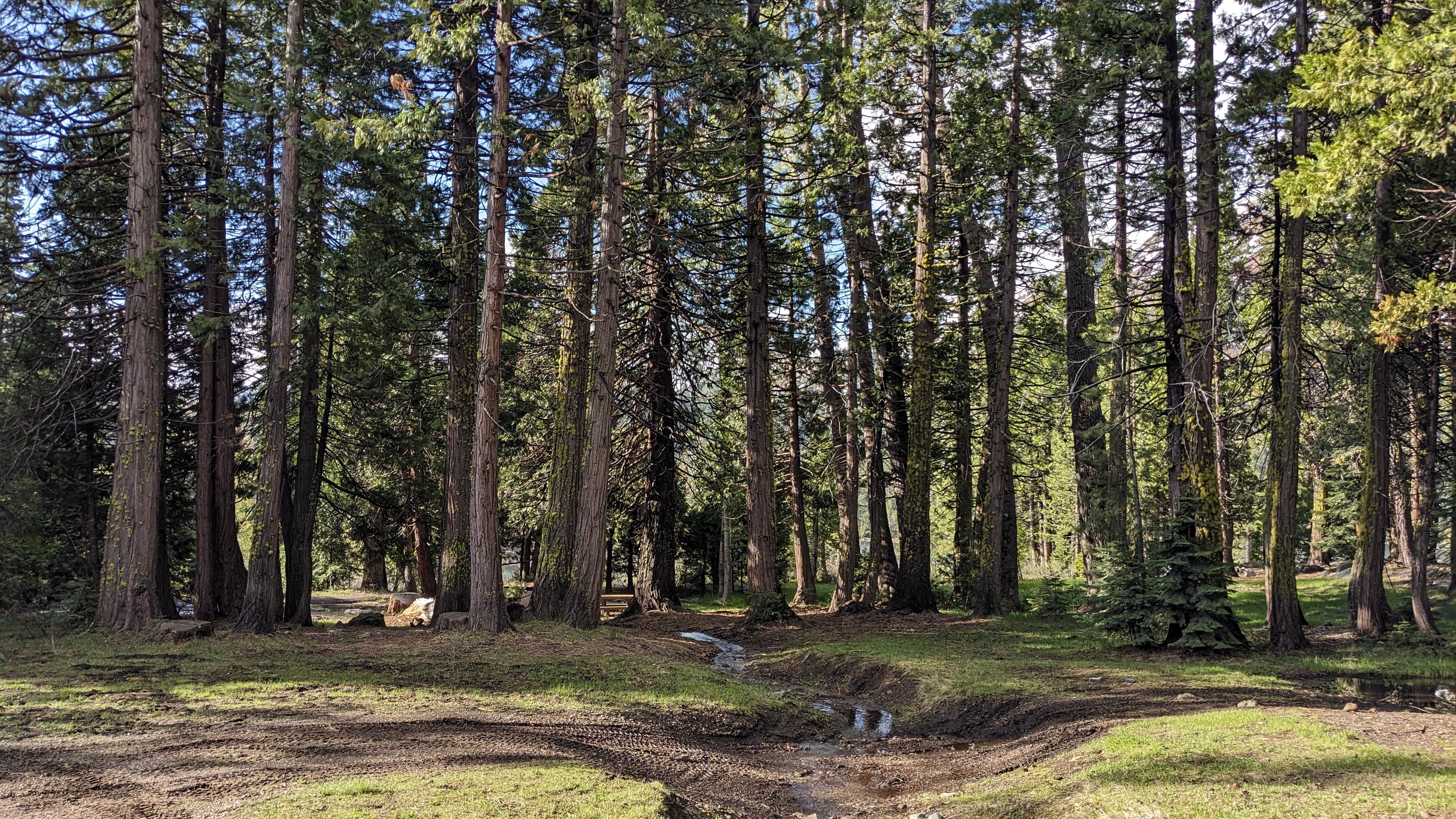 Bowman Lake Dispersed Camping | Sierra City, California