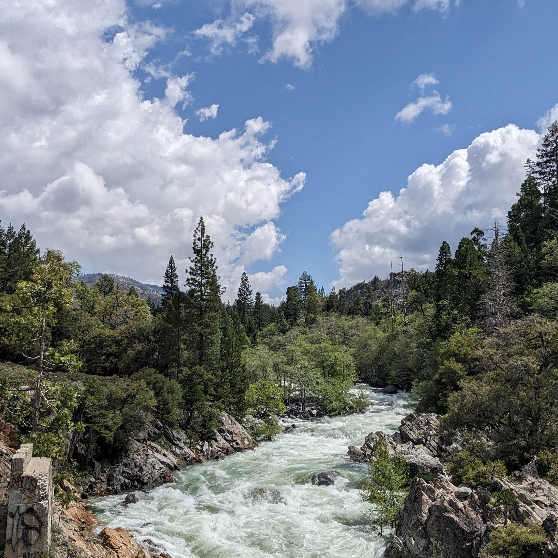 Bowman Lake Dispersed Camping | Sierra City, California