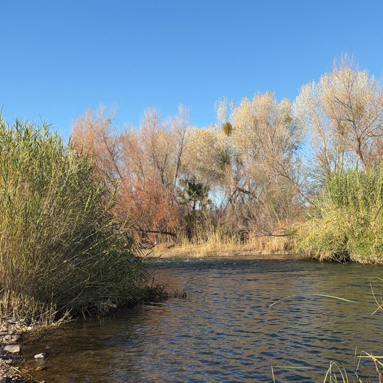Box Bar Road Dispersed Camping | Rio Verde, Arizona
