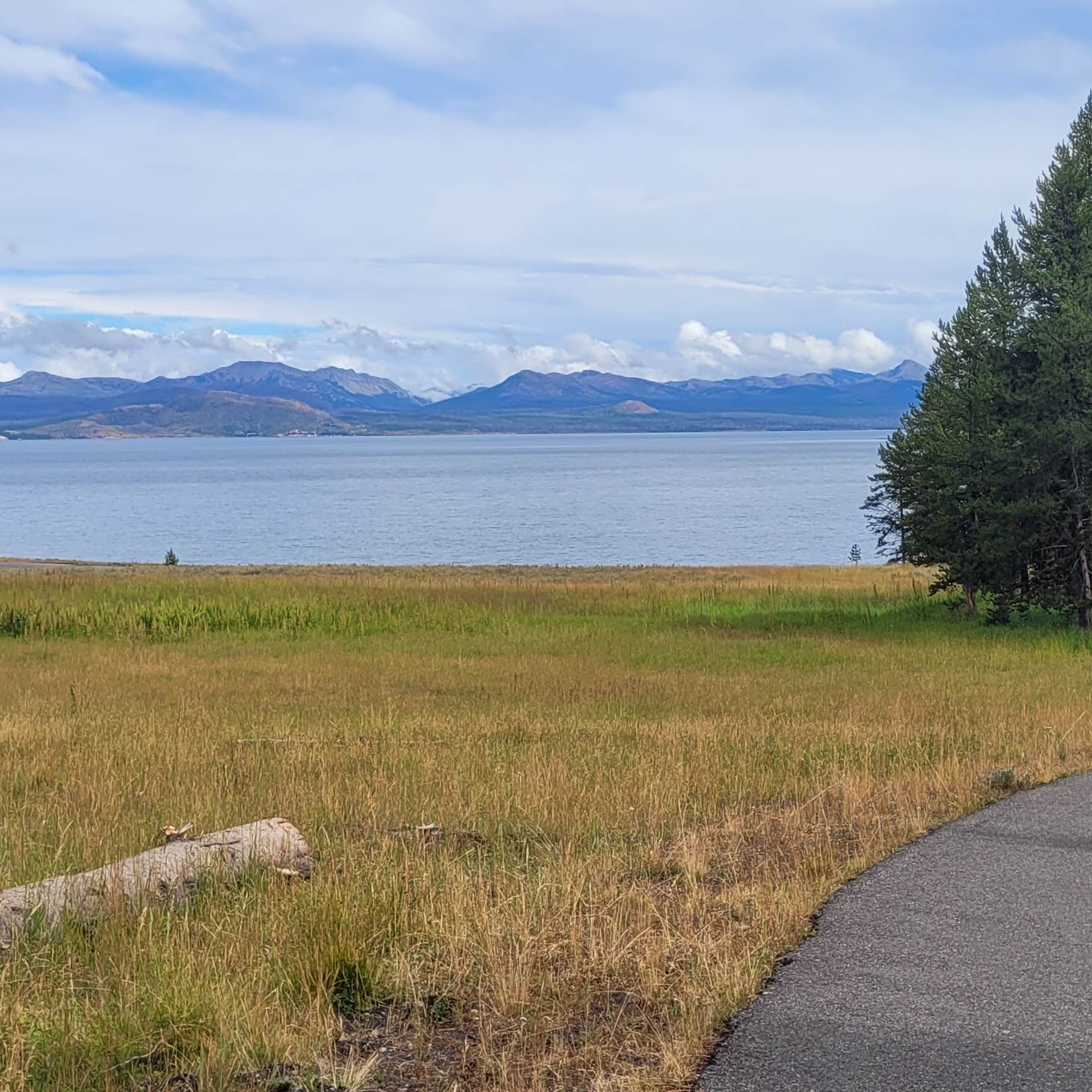 Bridge Bay Campground — Yellowstone National Park | West Yellowstone ...