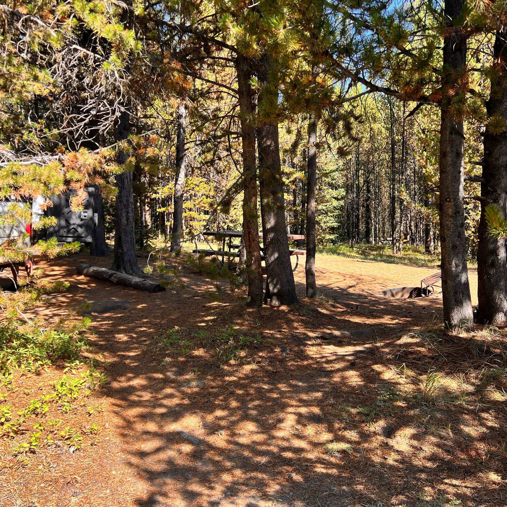 Bridge Bay Campground — Yellowstone National Park | West Yellowstone ...