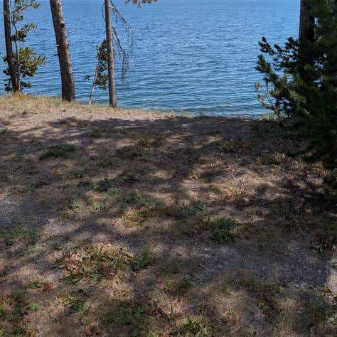 Bridge Bay Campground — Yellowstone National Park | West Yellowstone ...