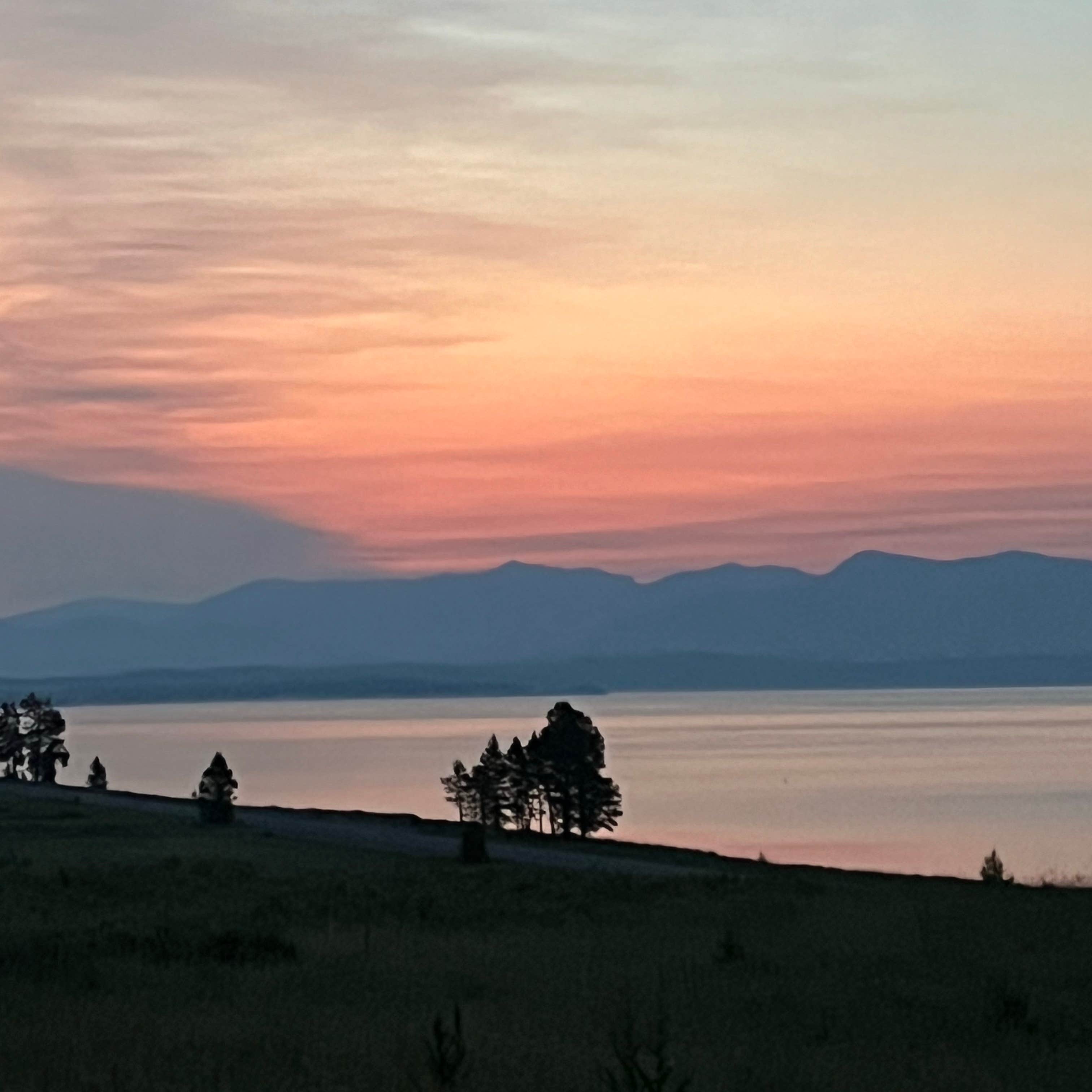 Bridge Bay Campground — Yellowstone National Park | Yellowstone ...